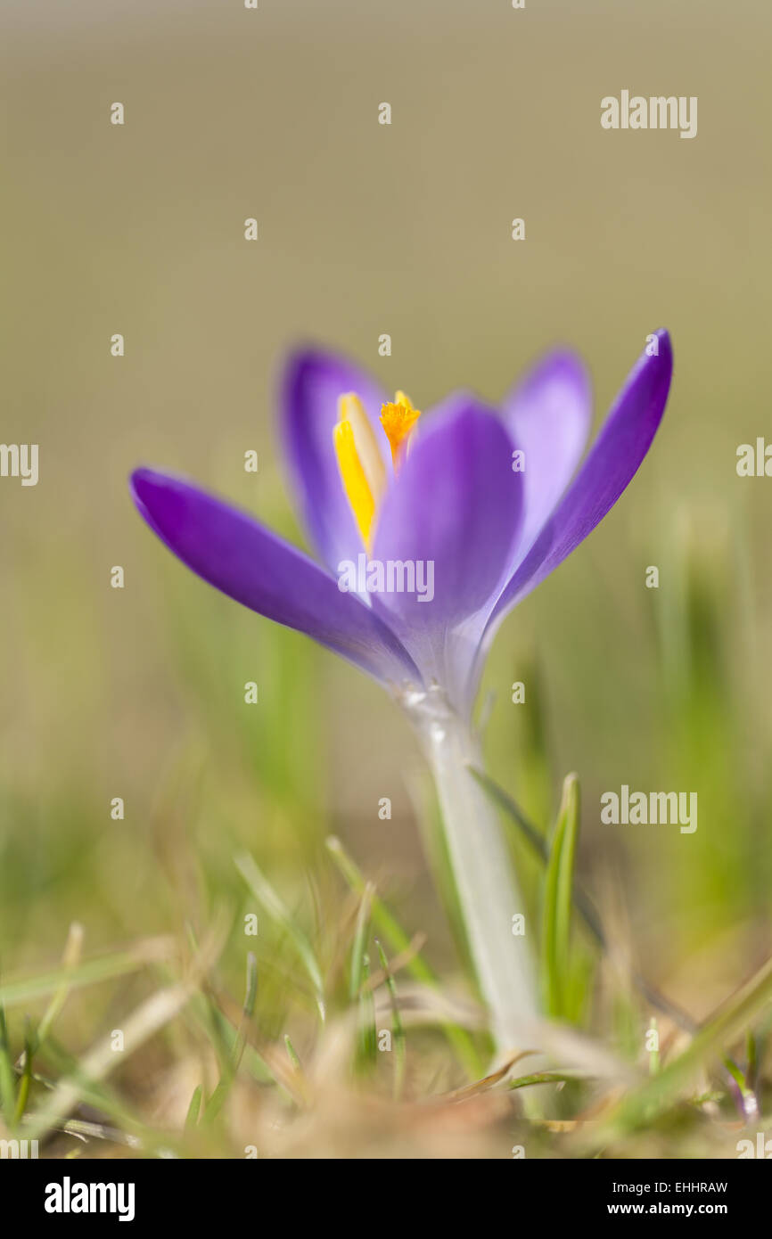 Hochfoto hi-res stock photography and images - Alamy