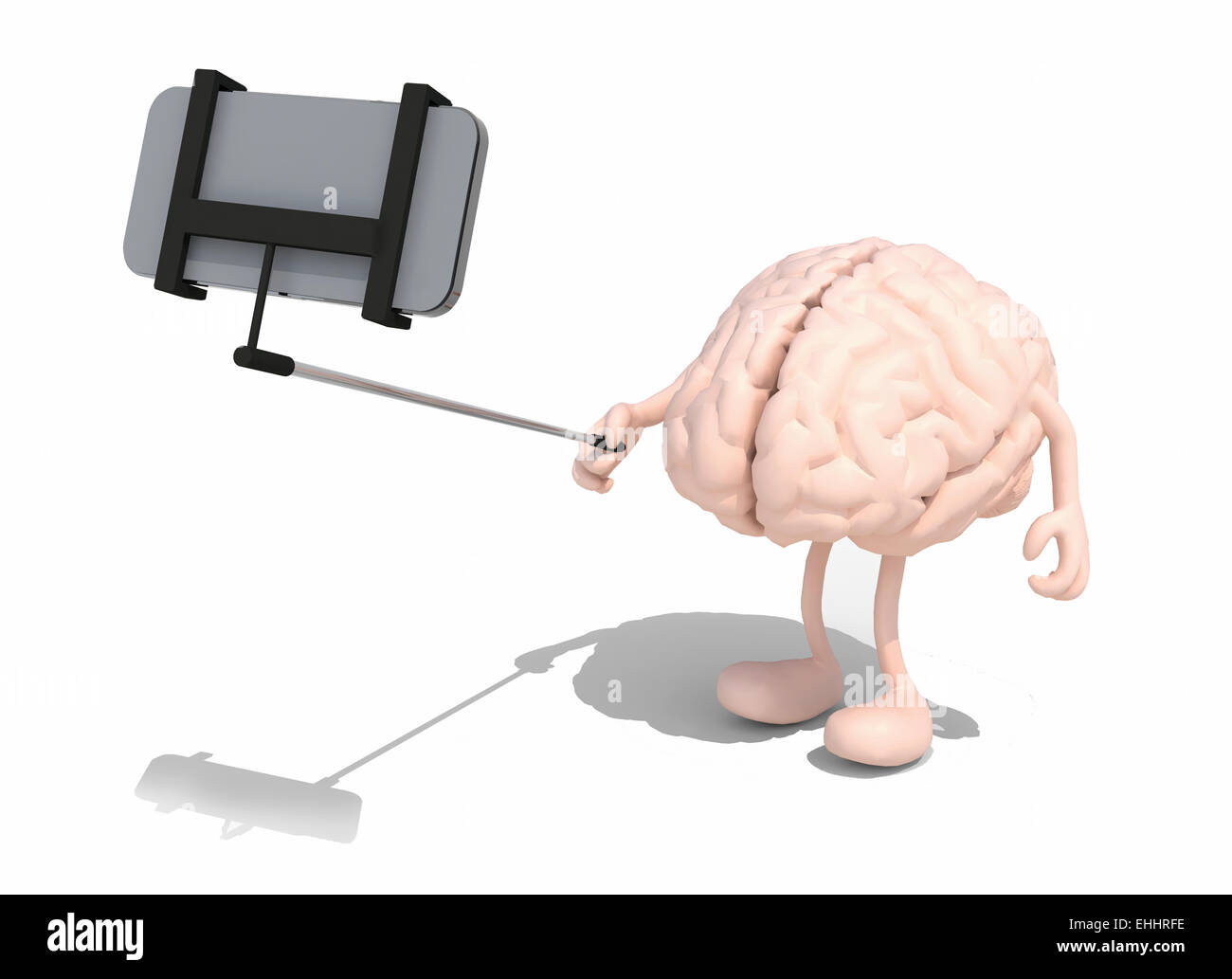 Human brain photograph hi-res stock photography and images - Alamy