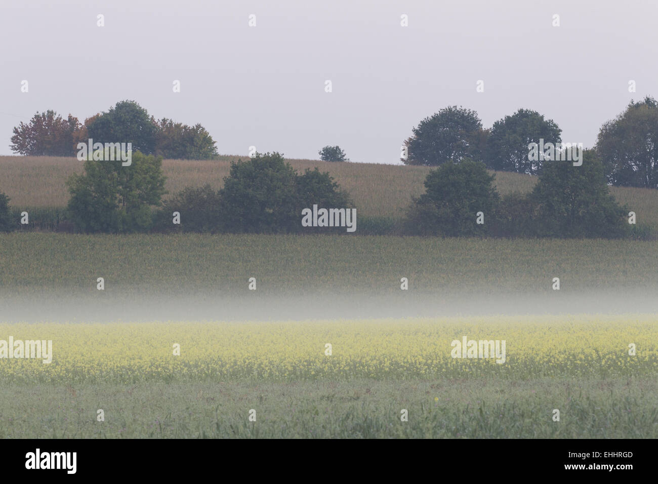 Mist over field hi-res stock photography and images - Alamy