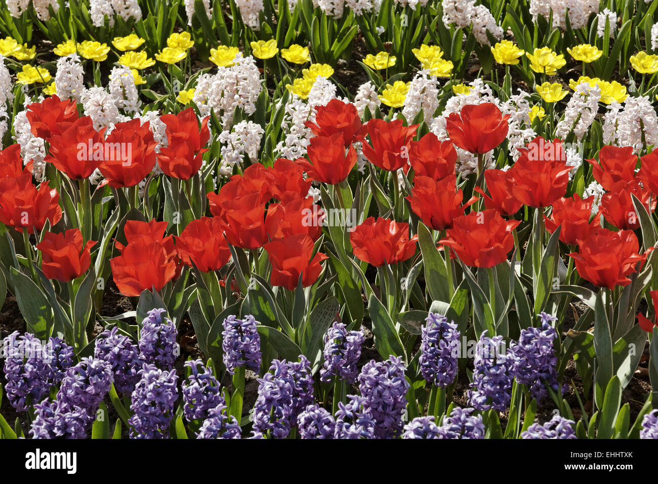 Verlinden hi-res stock photography and images - Alamy