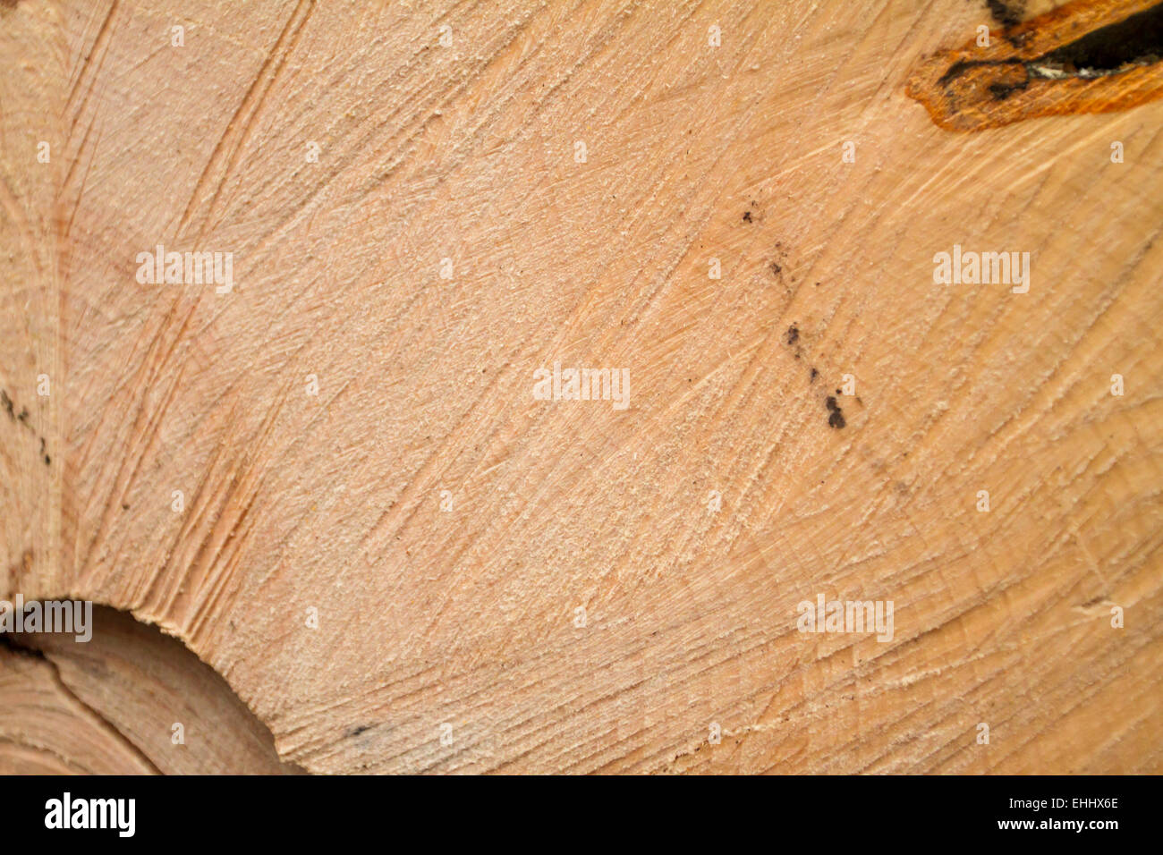 year rings of harvested wood Stock Photo - Alamy