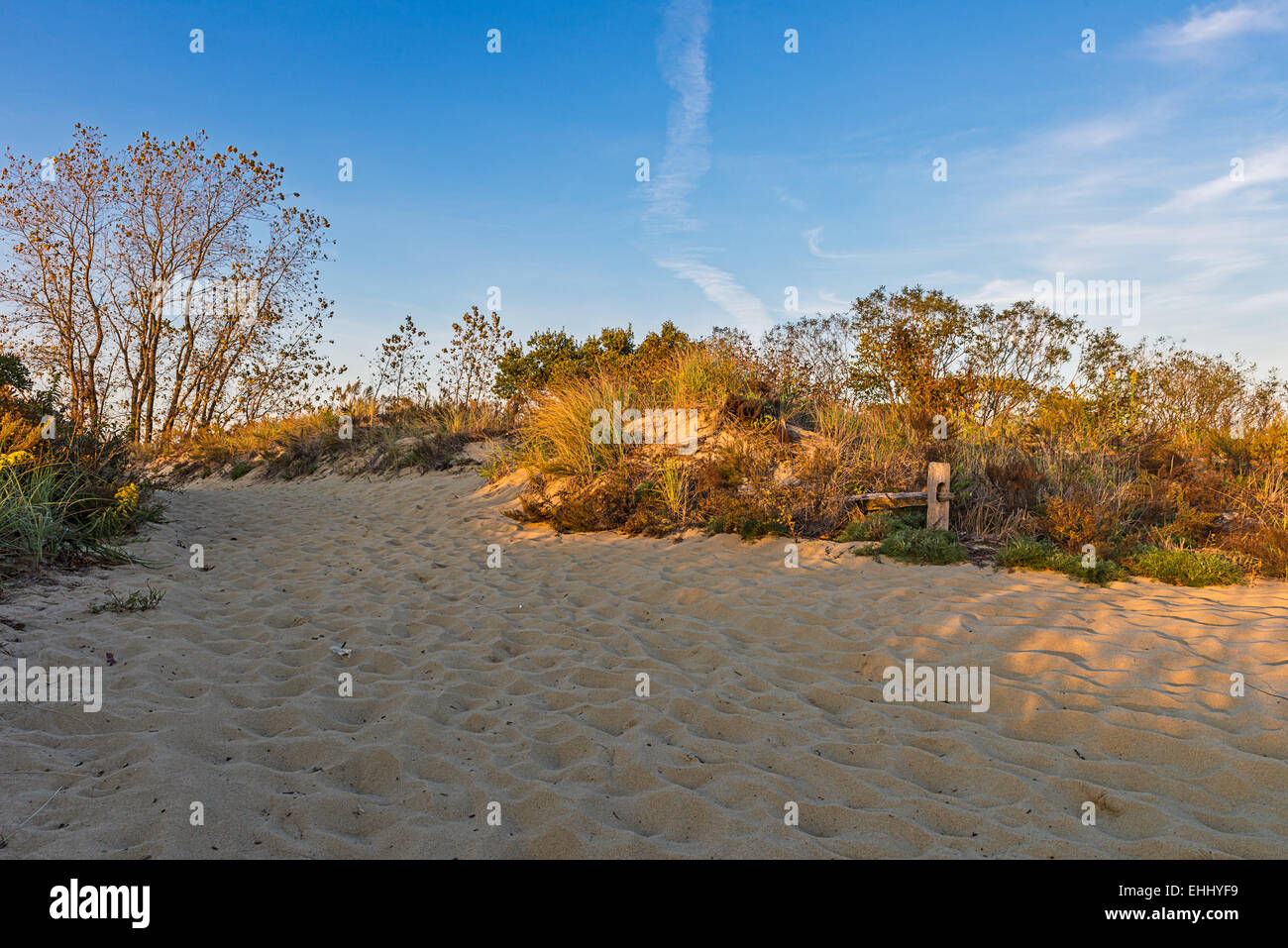 Sandy path to the beach-sandy hook Stock Photo - Alamy