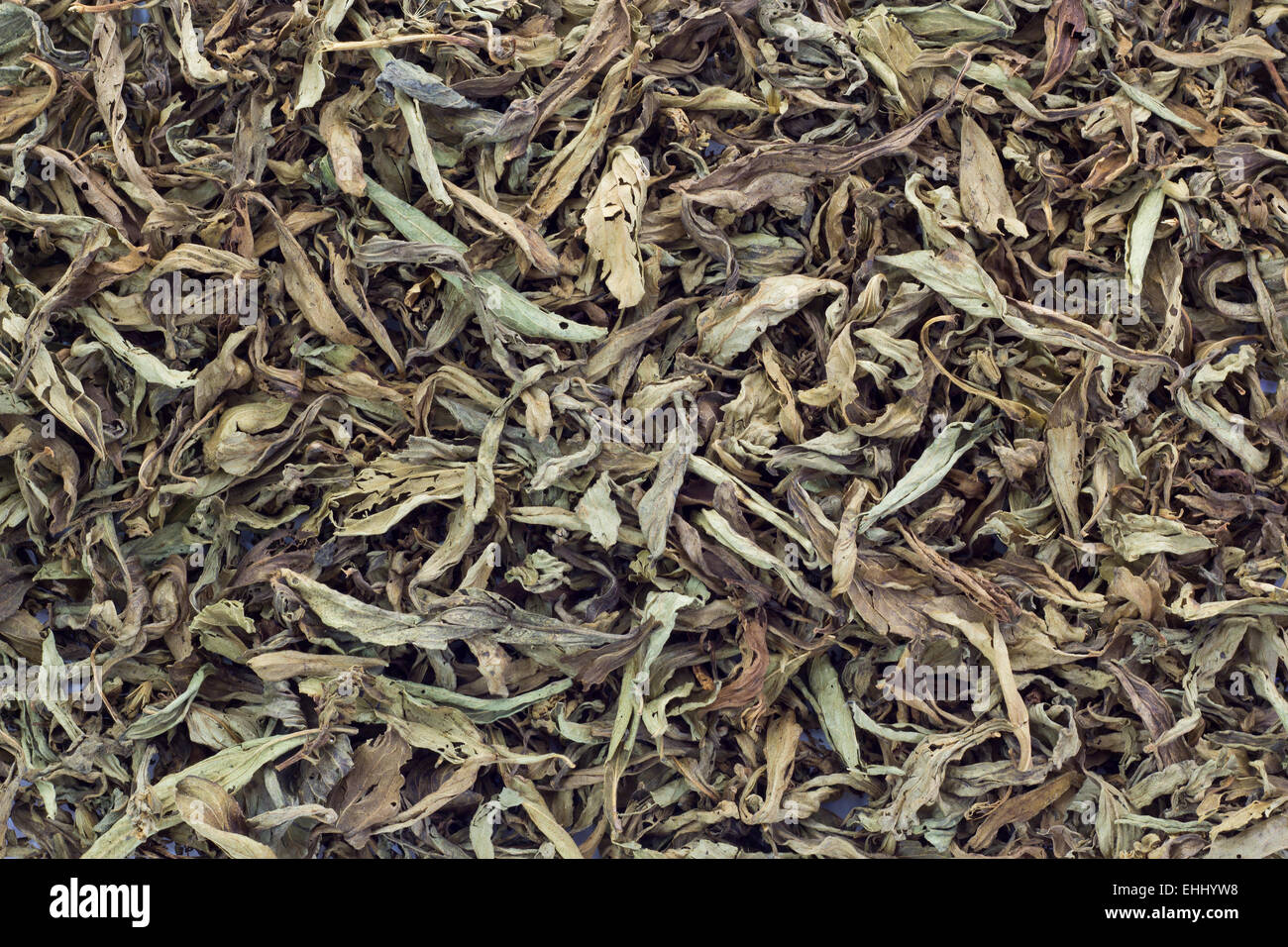 Nature Background of Dried Herbal Leaves Stock Photo - Alamy