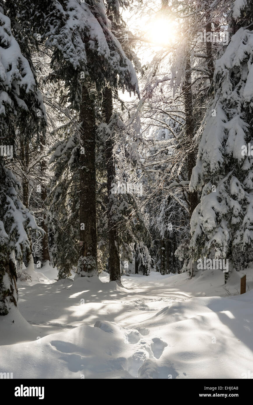 a wintry landscape with snow in mountain Stock Photo - Alamy