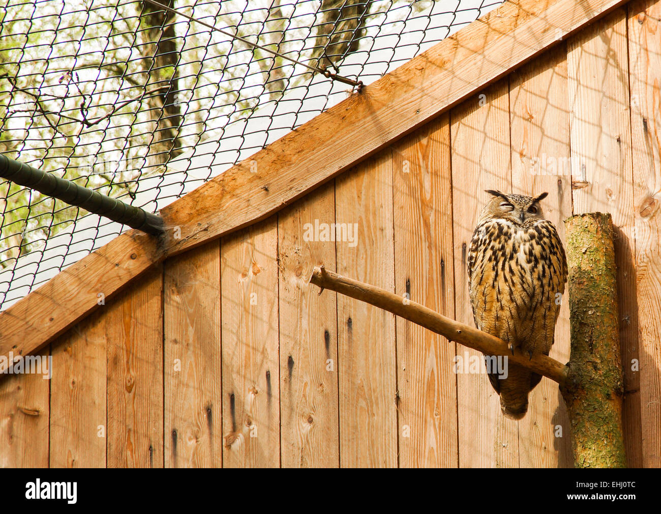 Sedentary birds hi-res stock photography and images - Alamy