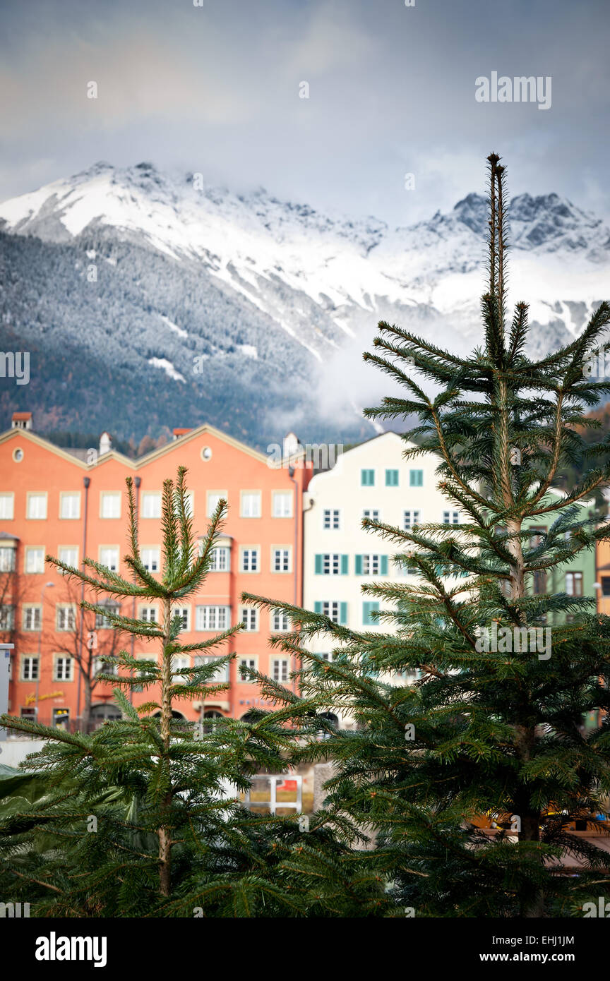 Historic Houses with Fir Trees and Mountain Stock Photo - Alamy