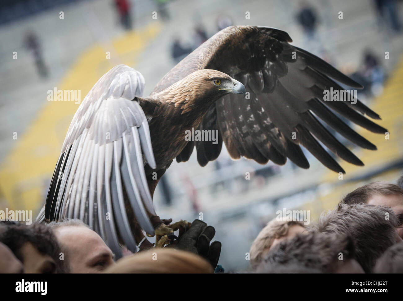 The Frankfurt bird mascot, Attila, seen before the German Bundesliga ...