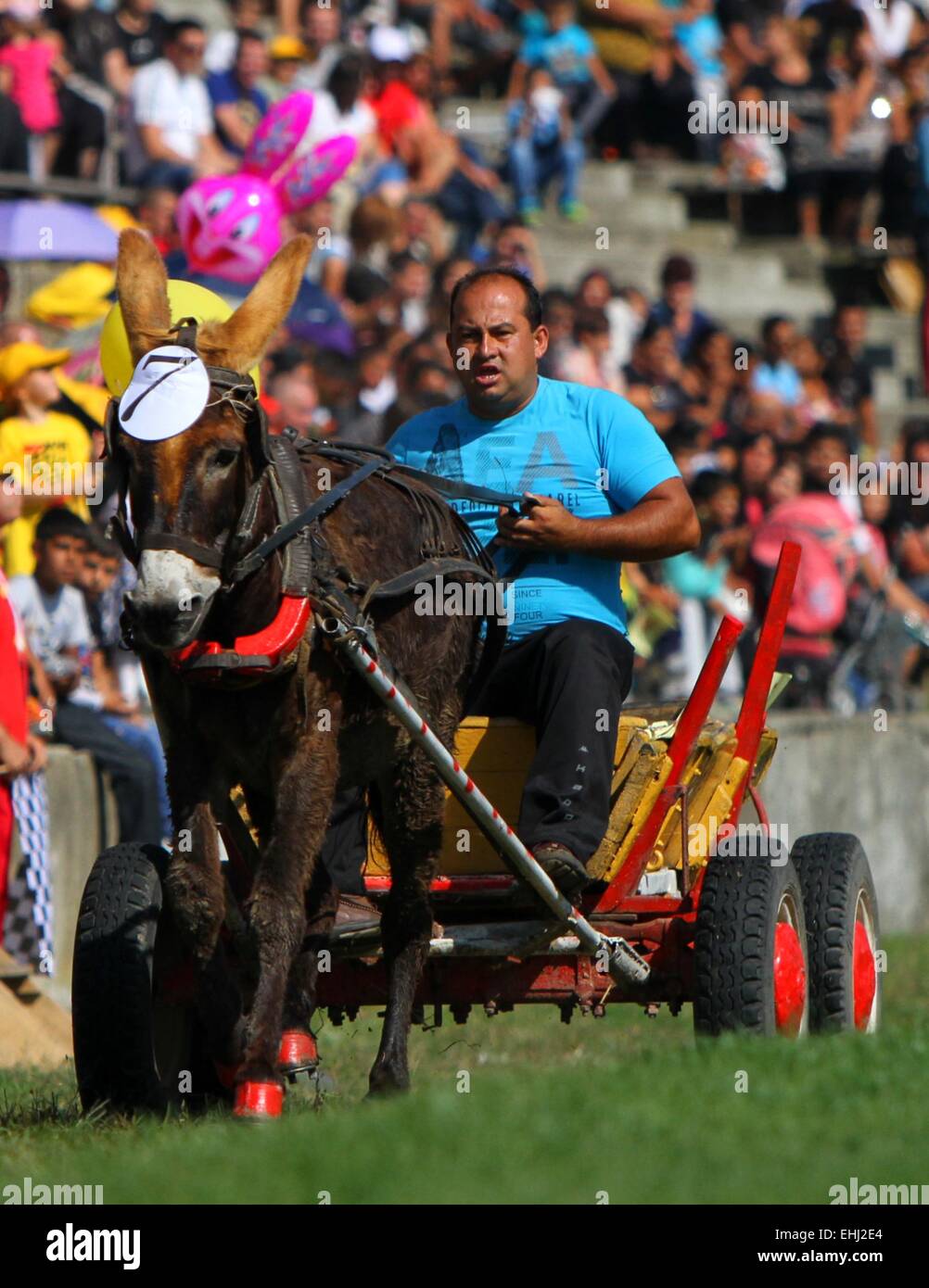 Competitors ride their donkey carts during a race competition in the ...