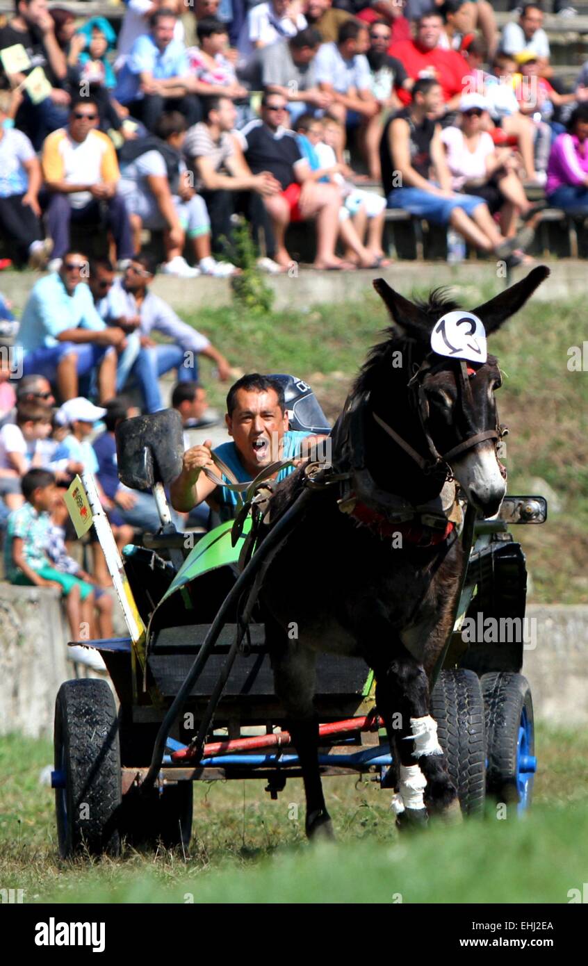 Donkey cart race hi-res stock photography and images - Alamy