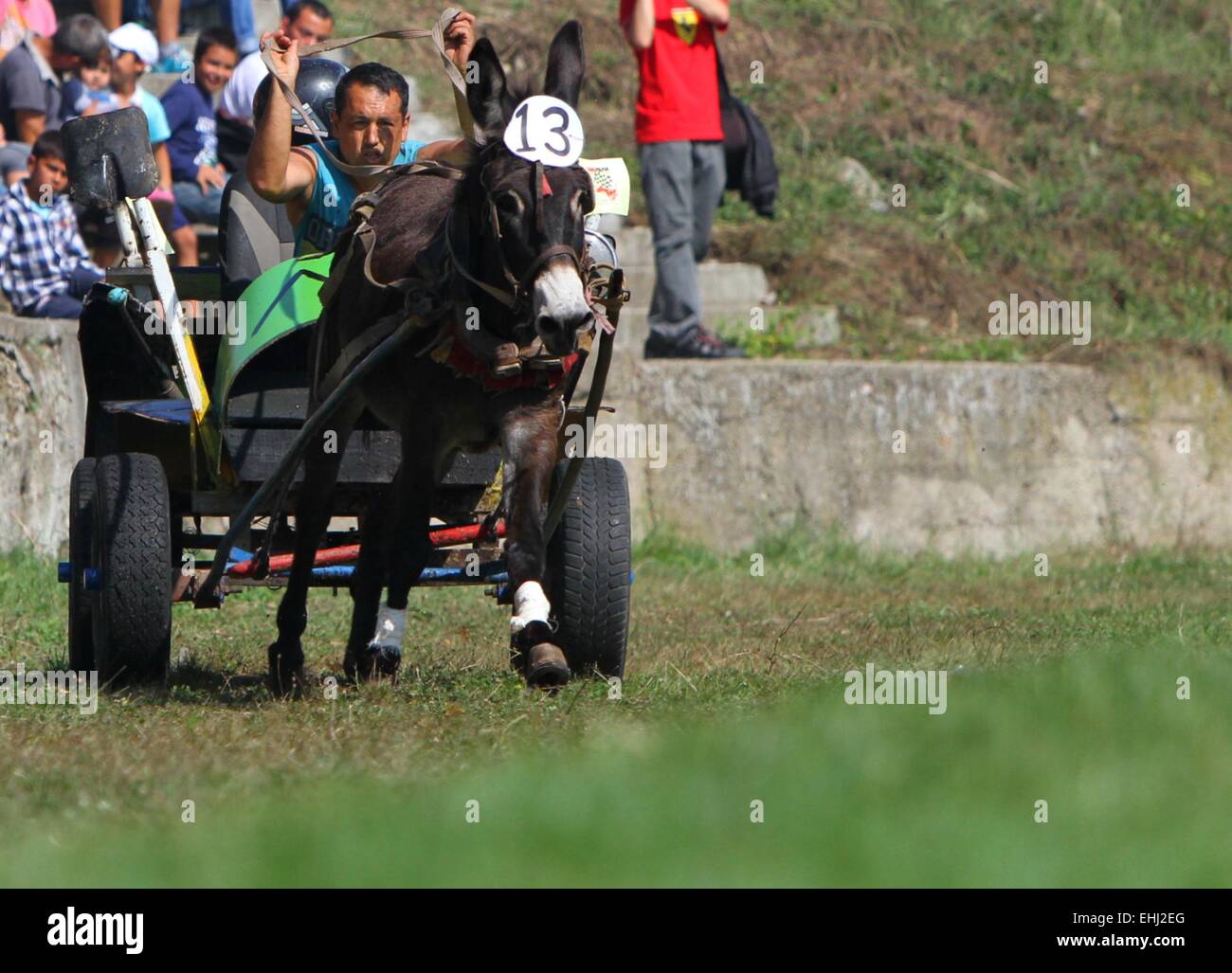 Competitors ride their donkey carts during a race competition in the ...