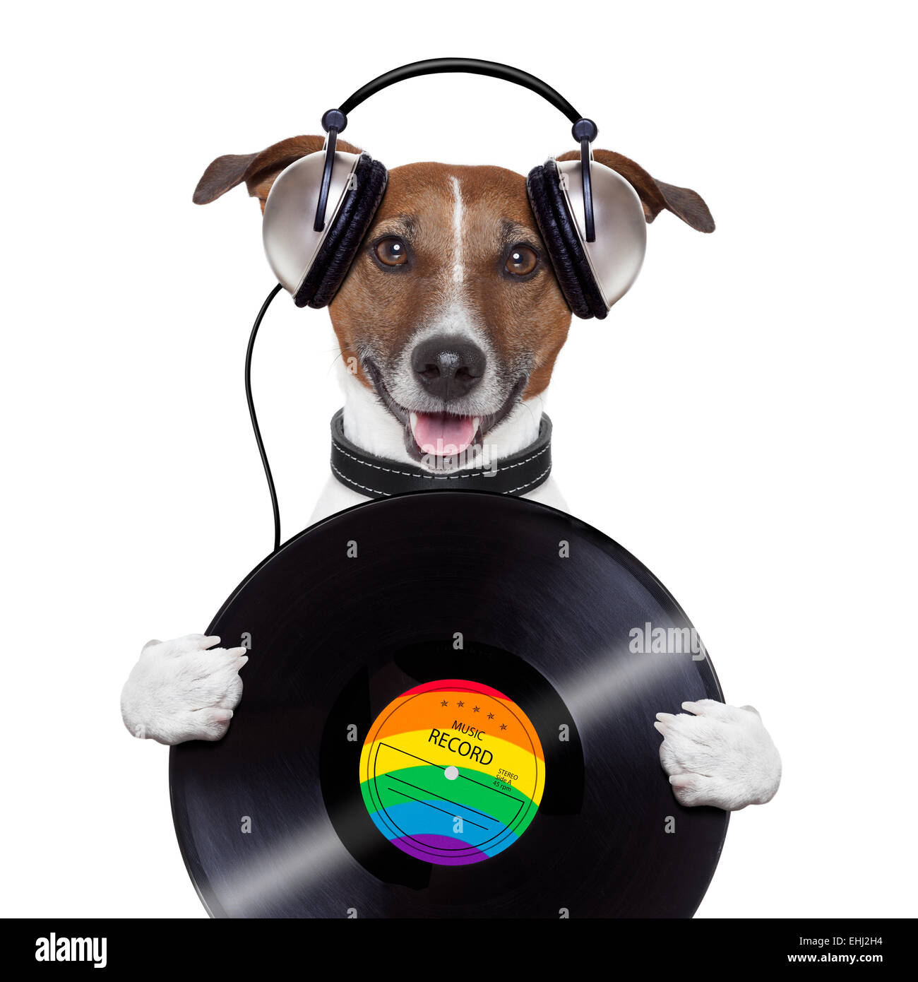 Dog record hi-res stock photography and images - Alamy