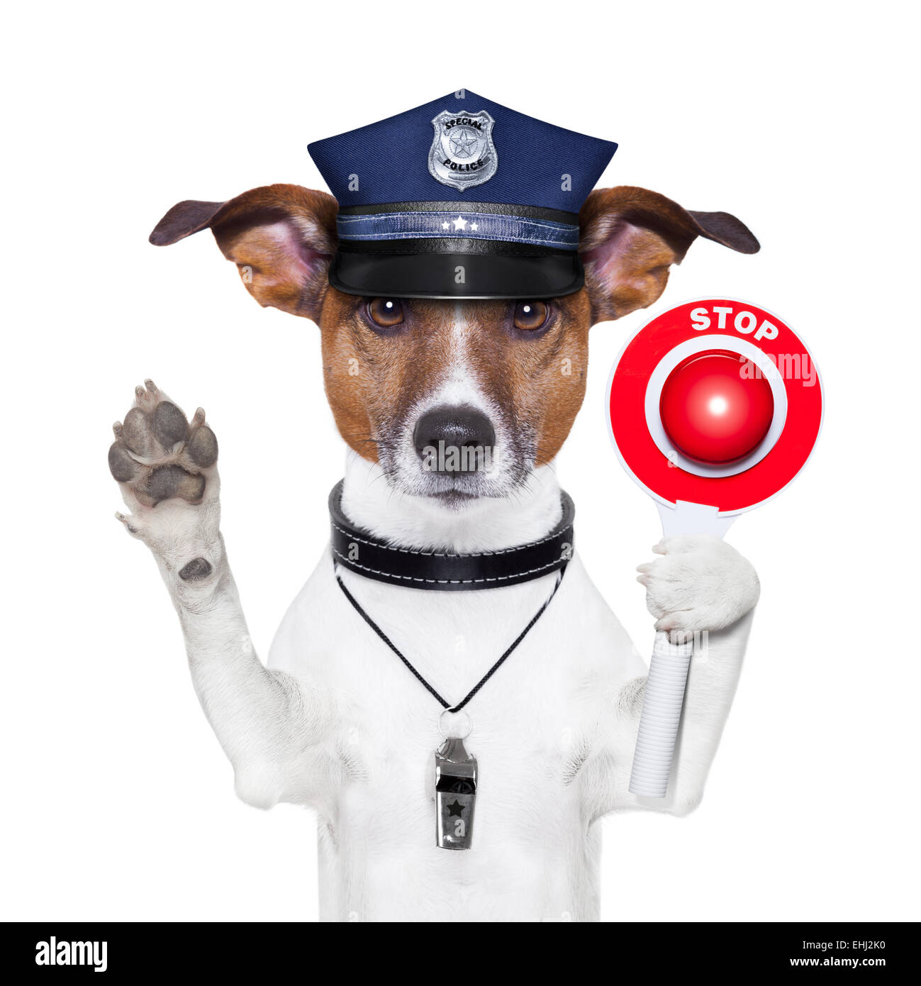Caution police dog hi-res stock photography and images - Alamy