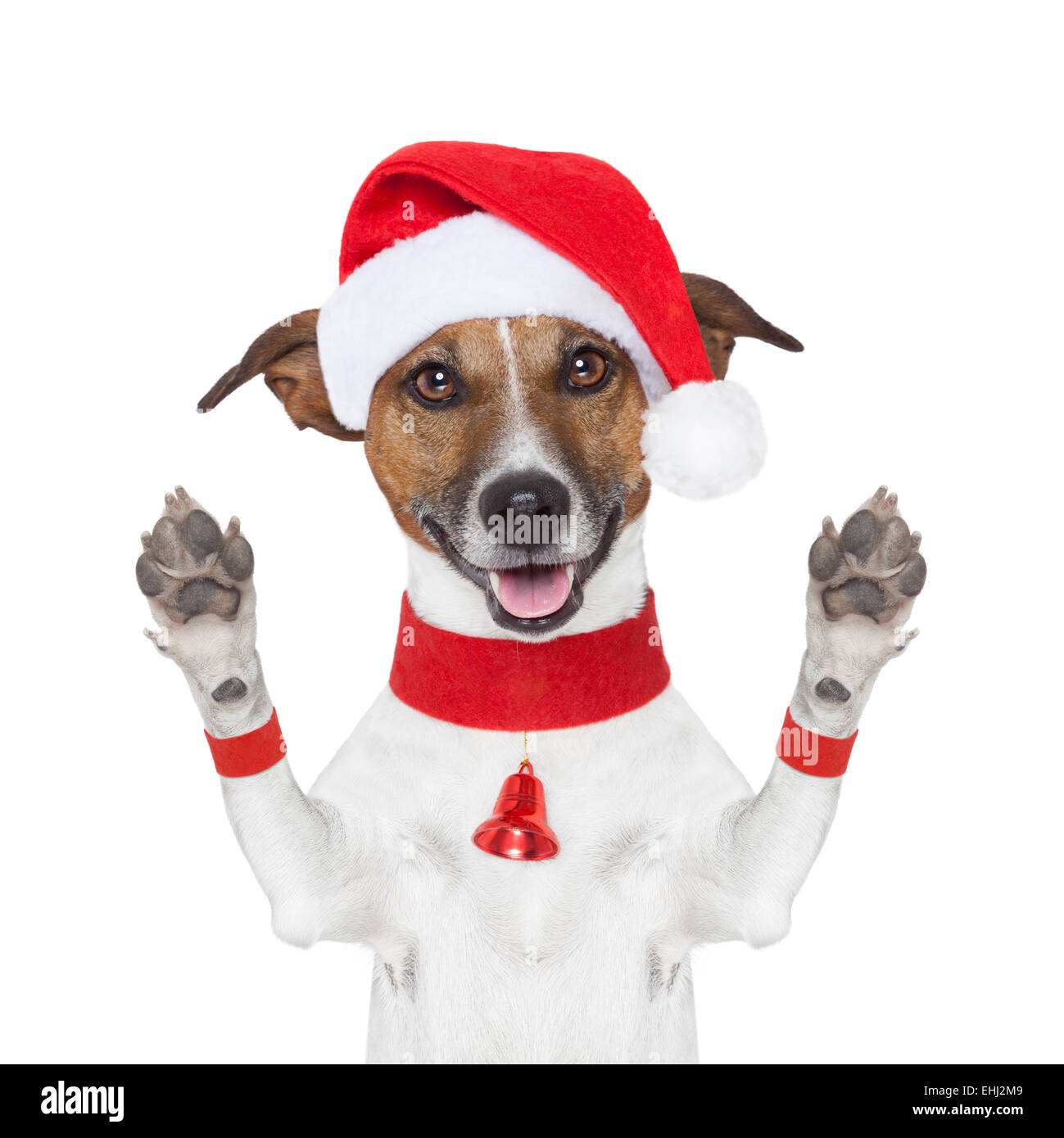 hello goodbye christmas dog Stock Photo - Alamy