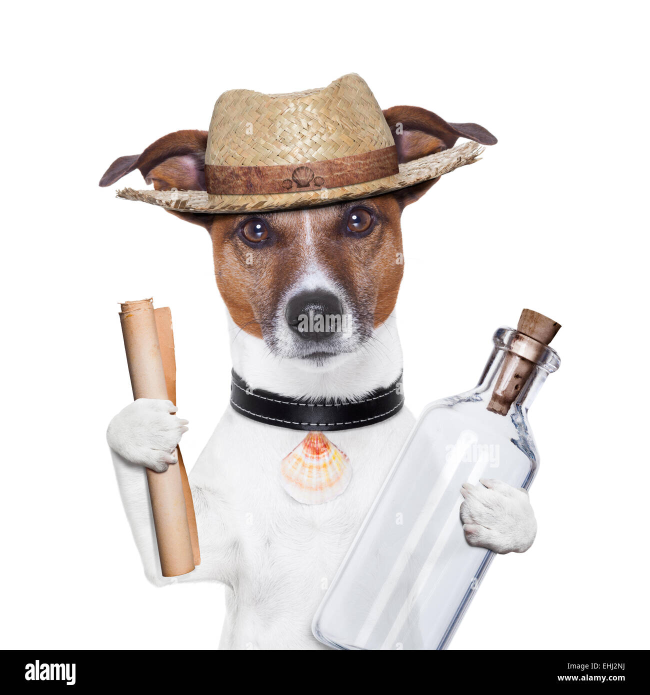 Dog post it note hi-res stock photography and images - Alamy