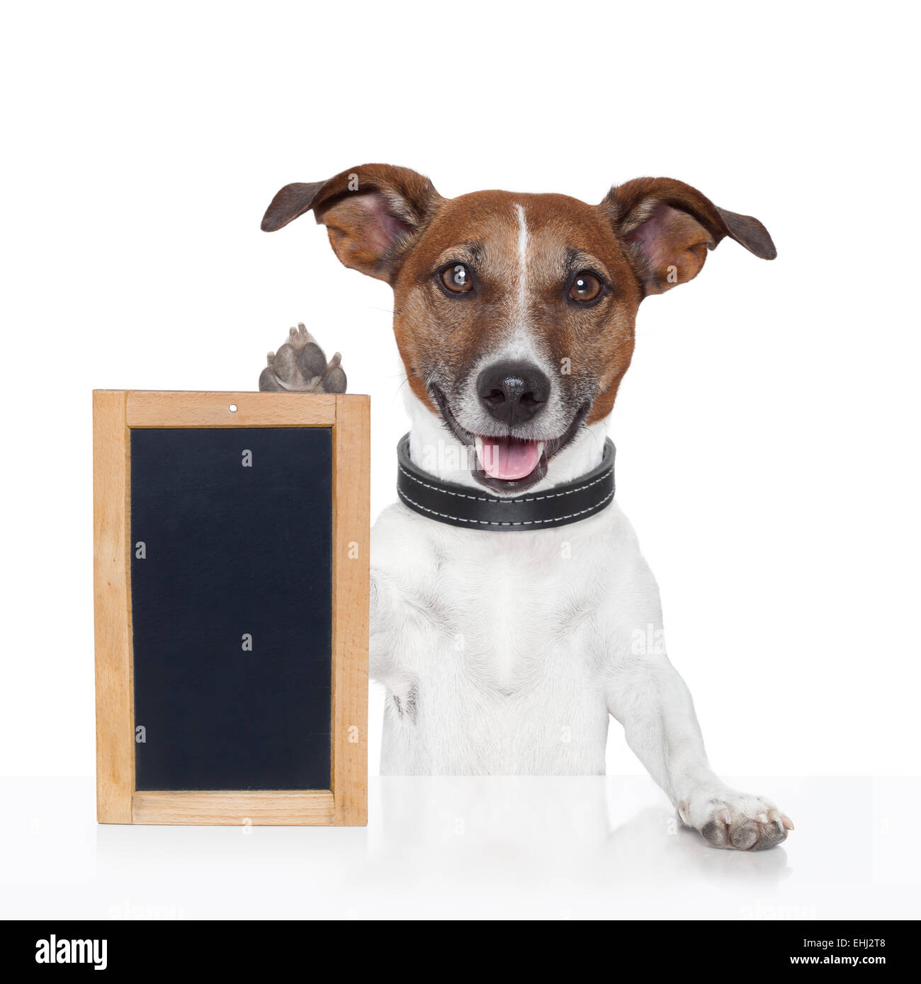board placeholder banner dog Stock Photo - Alamy