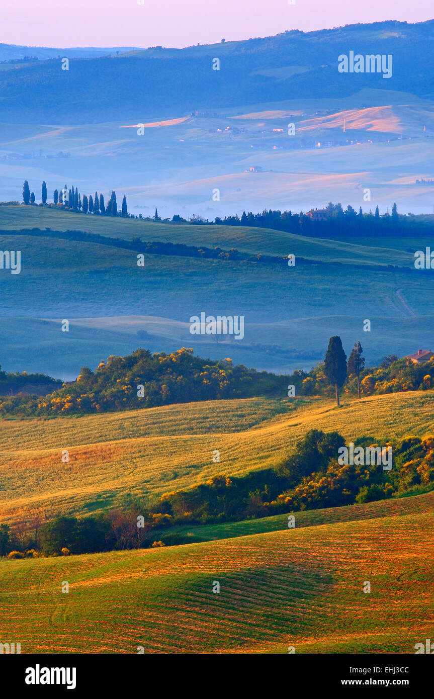 Val d'Orcia. Orcia Valley at dawn. Morning fog. UNESCO World Heritage ...