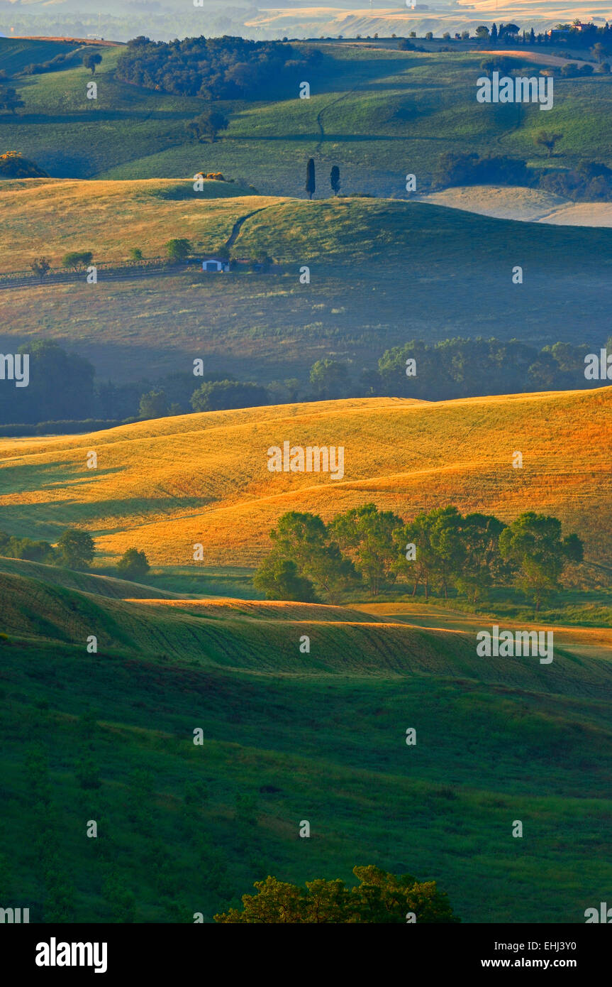 Val d'Orcia. Orcia Valley at dawn. Morning fog. UNESCO World Heritage ...