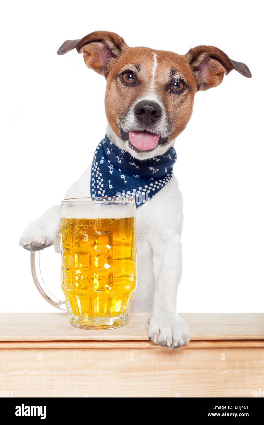 Dogs Drinking Beer Poster