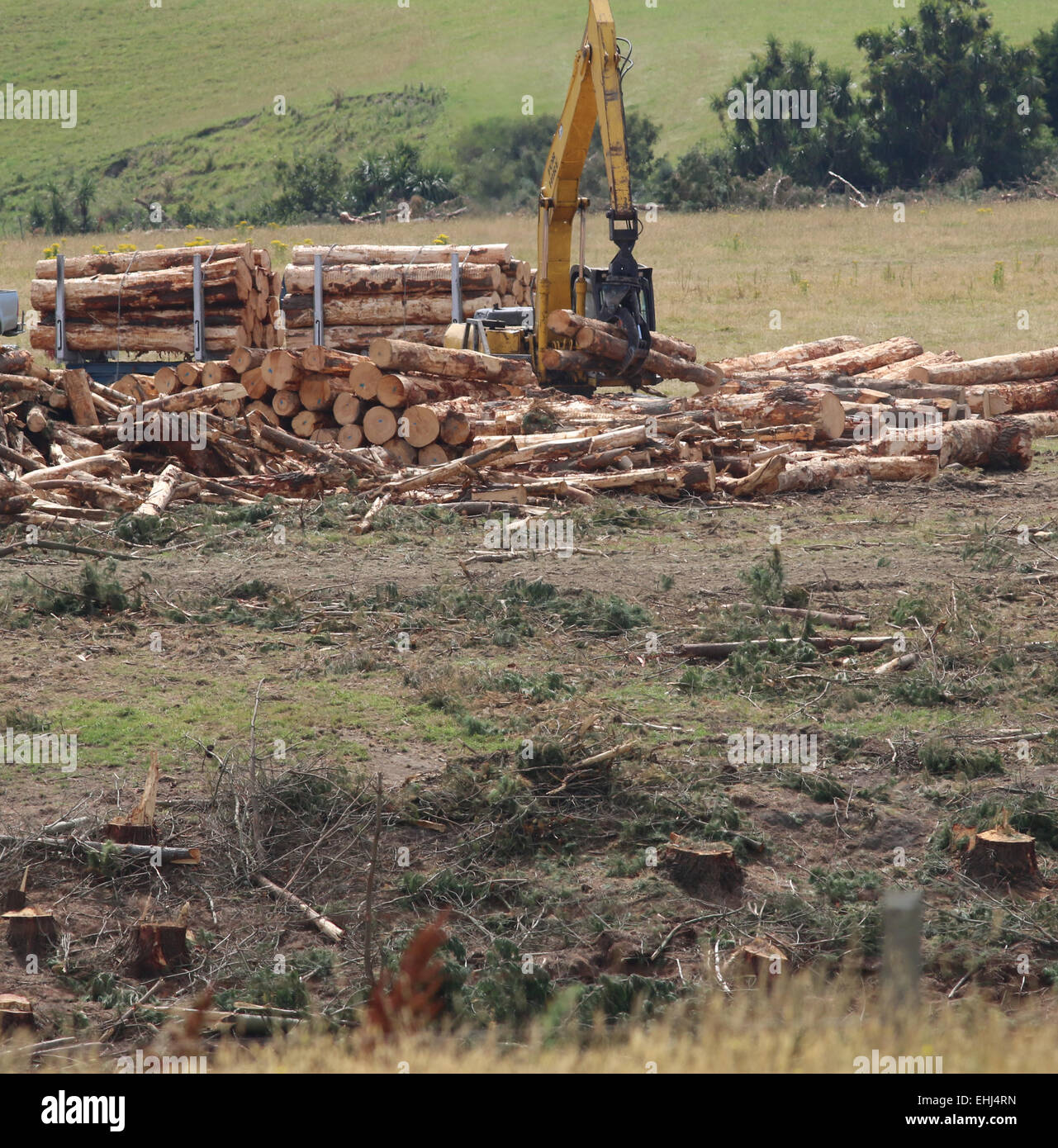 Logging operations hi-res stock photography and images - Alamy