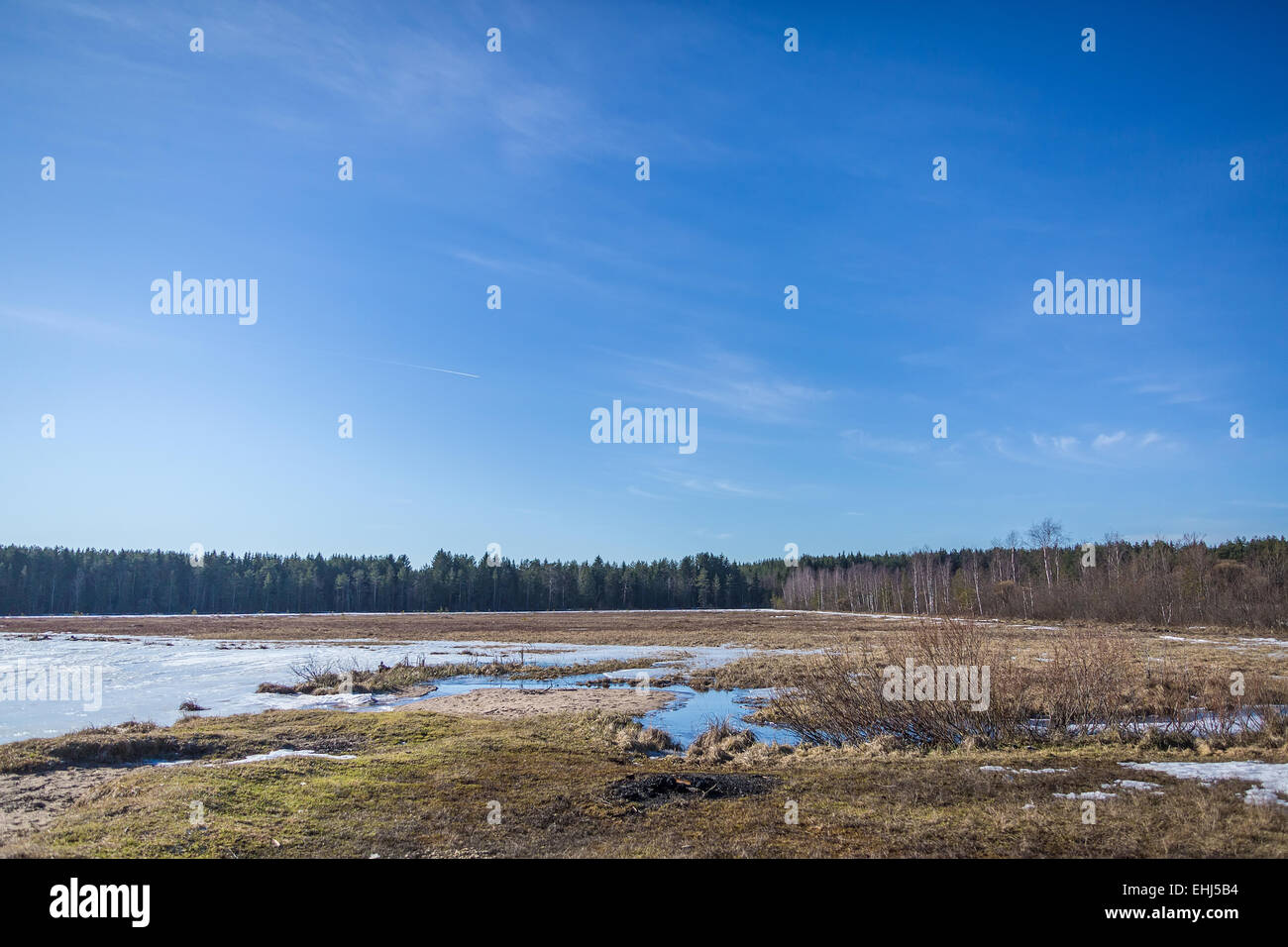 Beautiful spring landscape with a big lake Stock Photo - Alamy