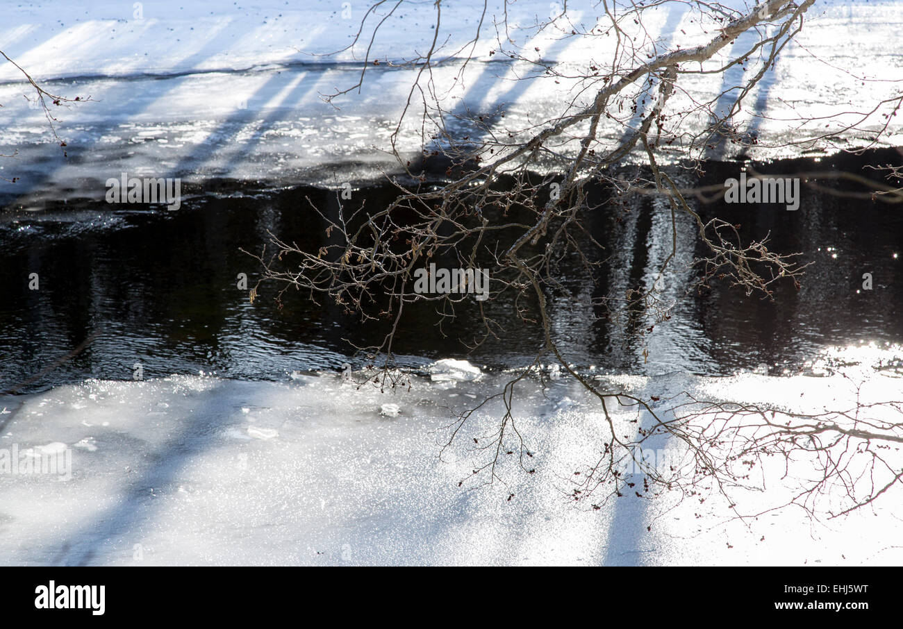 Branch over Spring River Stock Photo - Alamy