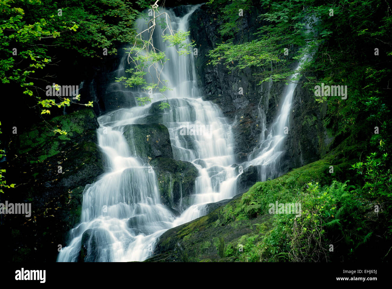 Torque hi-res stock photography and images - Alamy