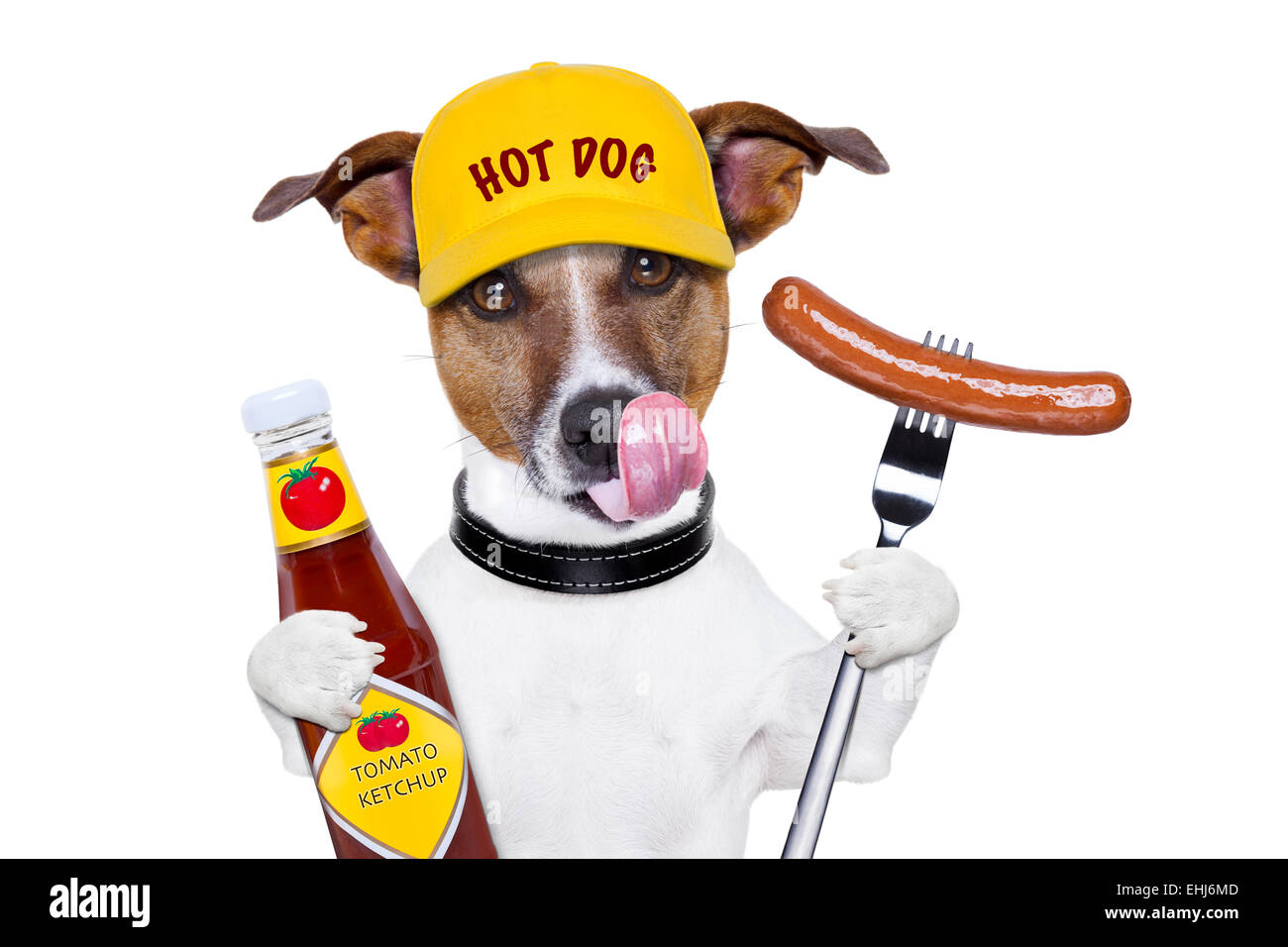 Hungry dog hi-res stock photography and images - Alamy