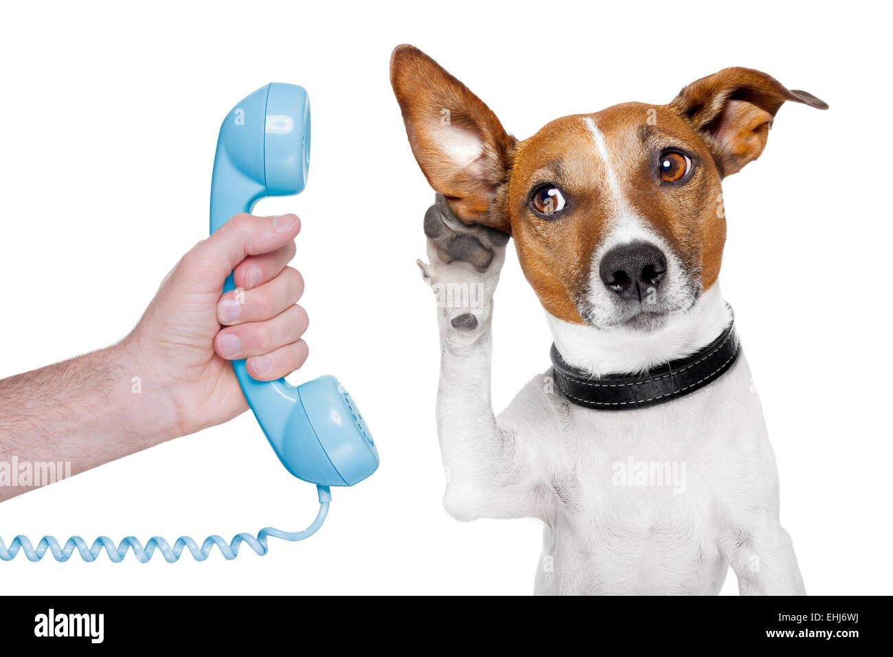 Hand gesture dog hi-res stock photography and images - Alamy