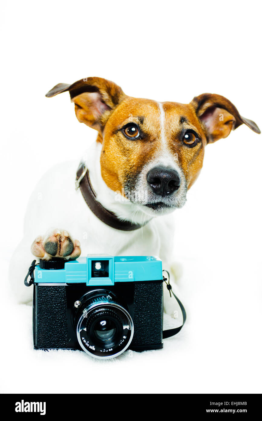 dog photo camera Stock Photo - Alamy