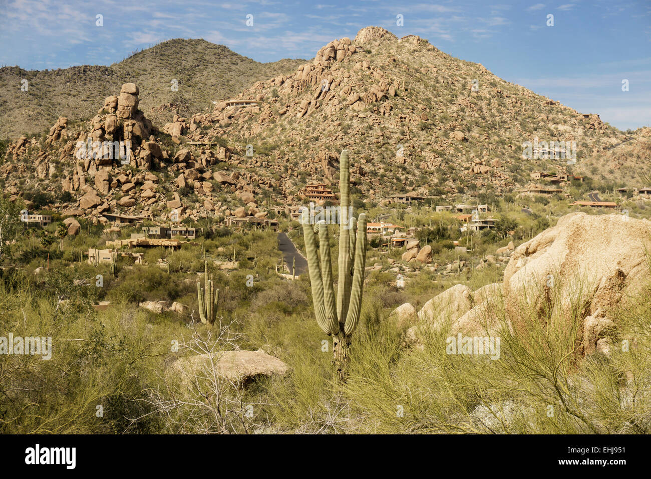 Arizona, desert valley landscape near Phoenix,Scottsdale,USA Stock ...