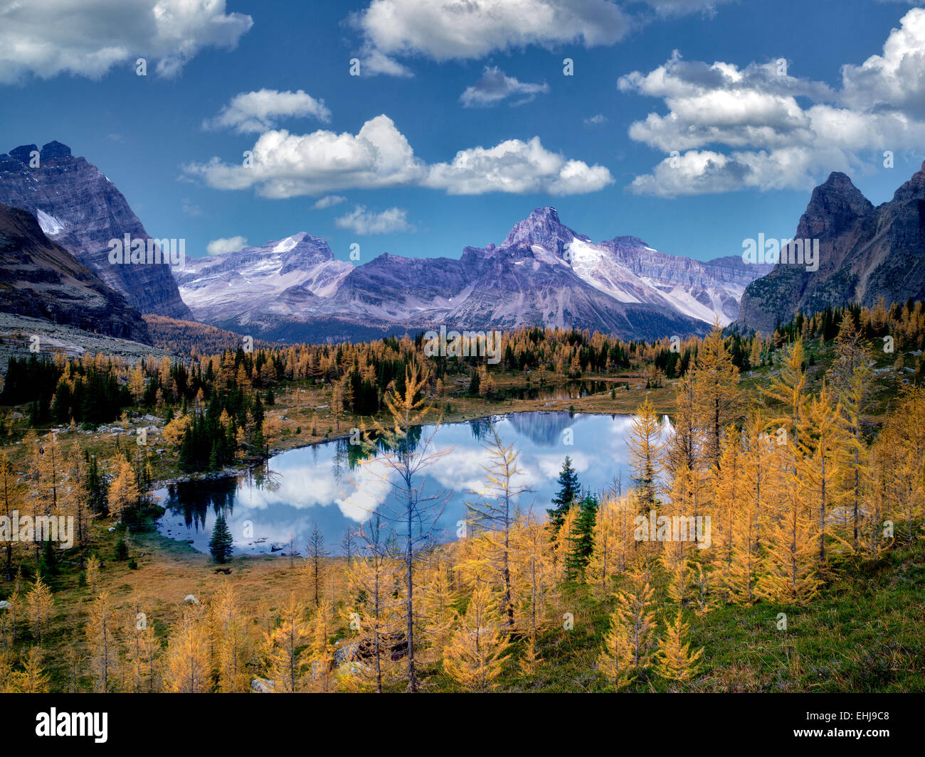 Opabin plateau hi-res stock photography and images - Alamy