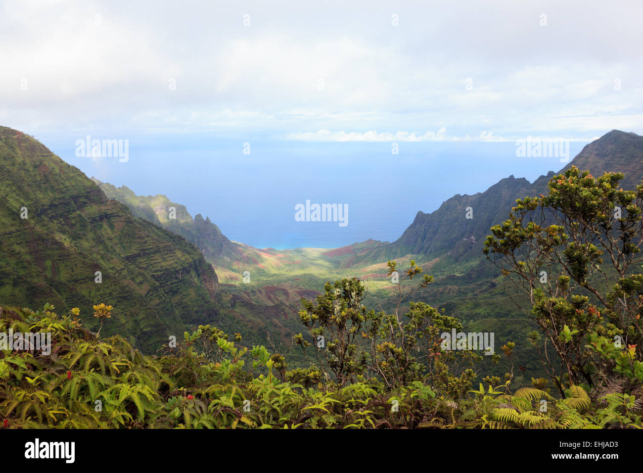 Kokee state park hi-res stock photography and images - Alamy
