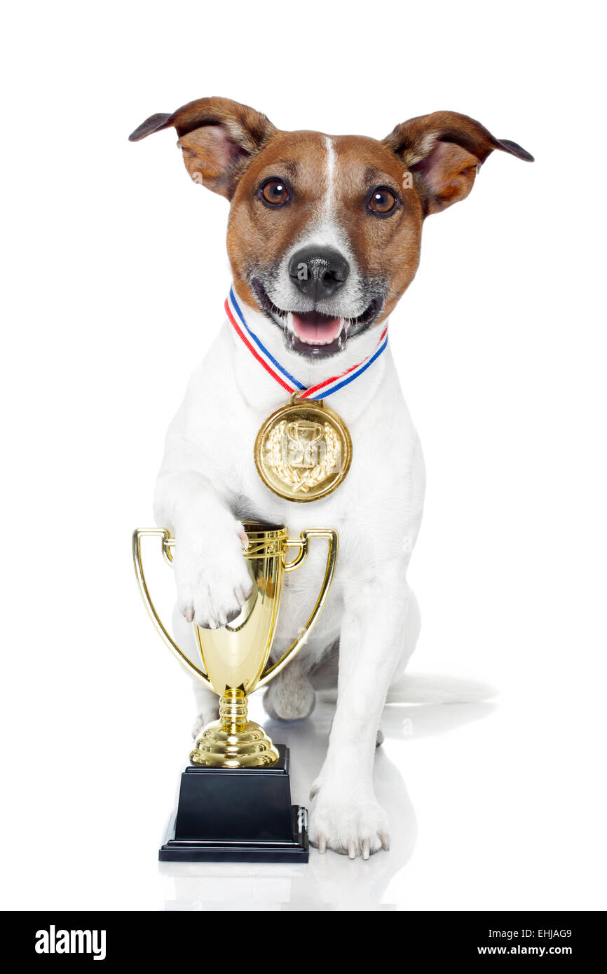 Cute little dog mascot hi-res stock photography and images - Alamy