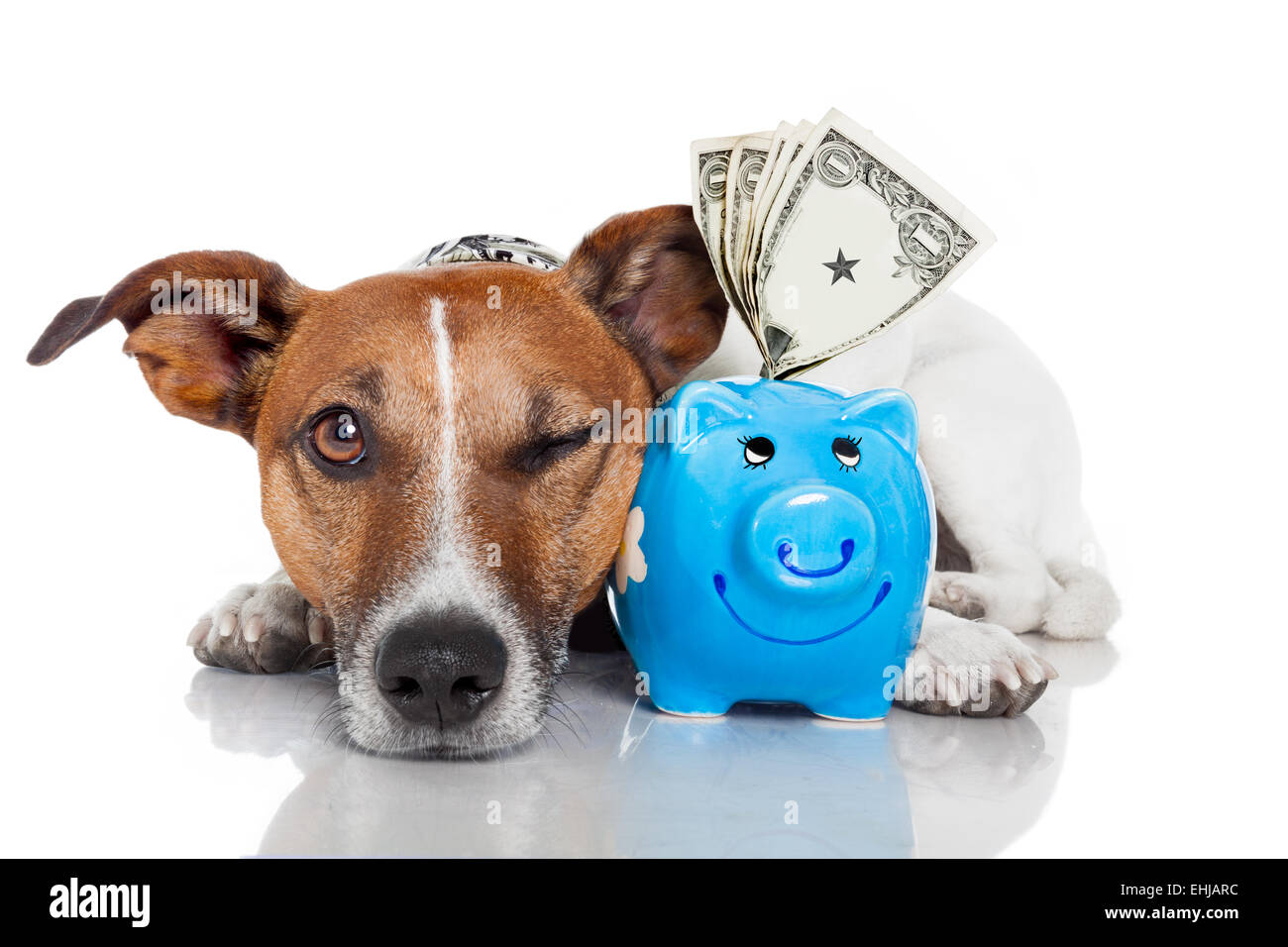 Lustige bank hi-res stock photography and images - Alamy