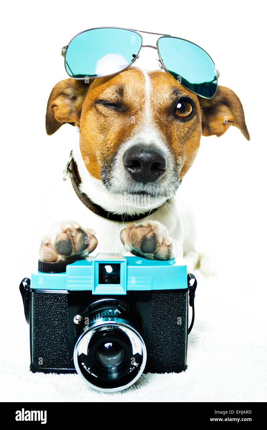 Camera and lens and animal Cut Out Stock Images & Pictures - Alamy