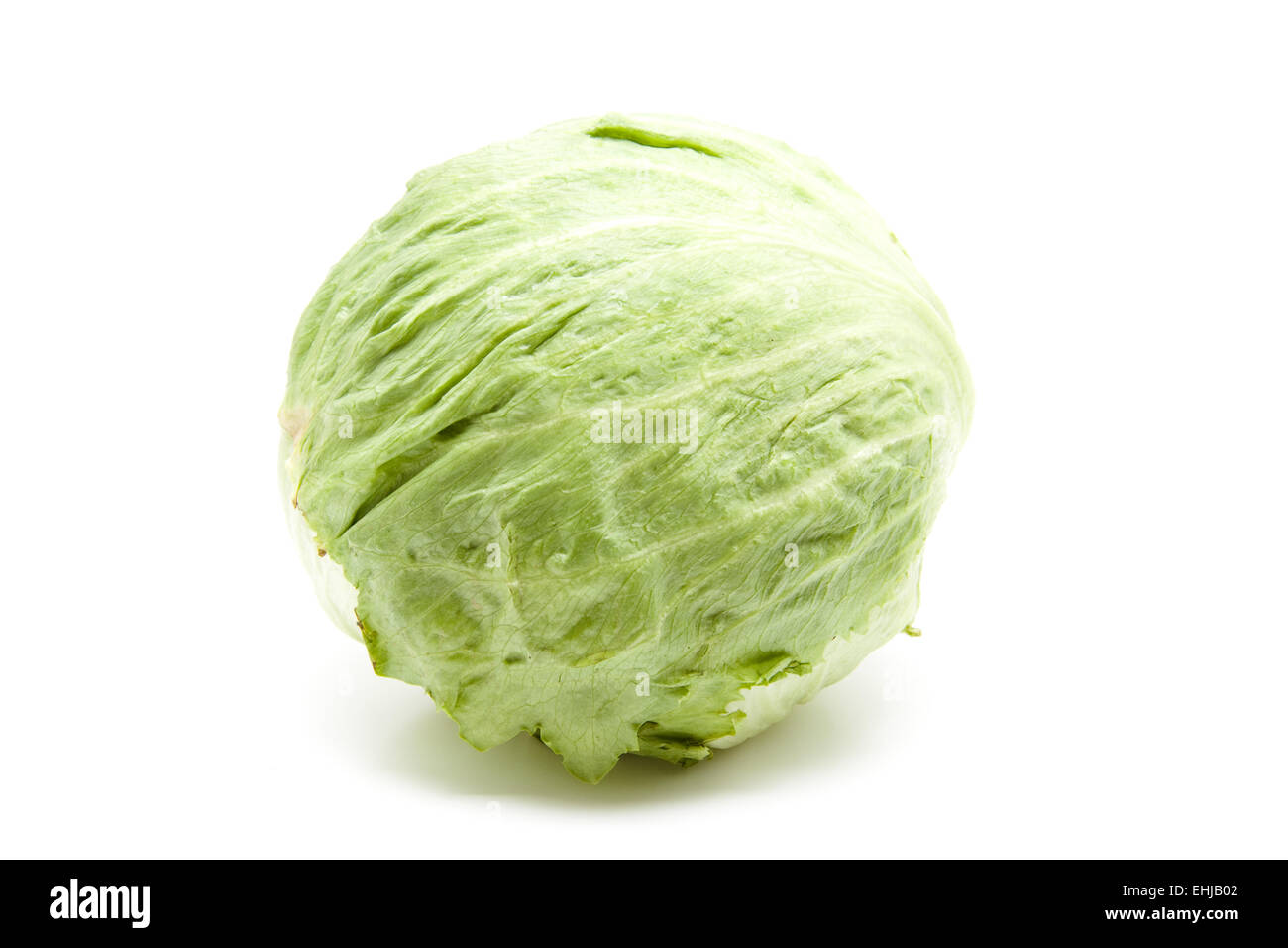 Fresh iceberg lettuce Stock Photo - Alamy