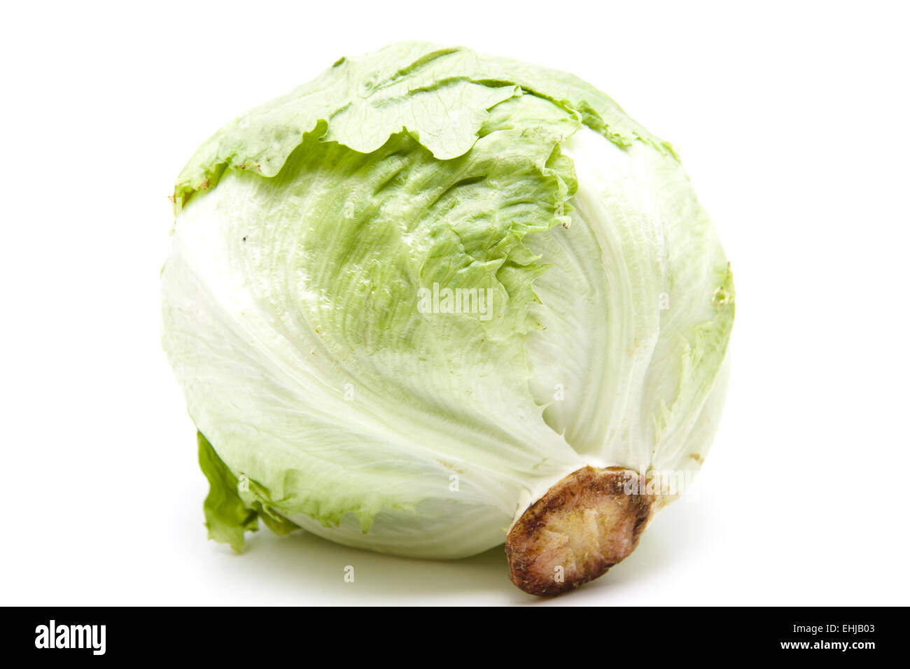 Fresh iceberg lettuce Stock Photo - Alamy