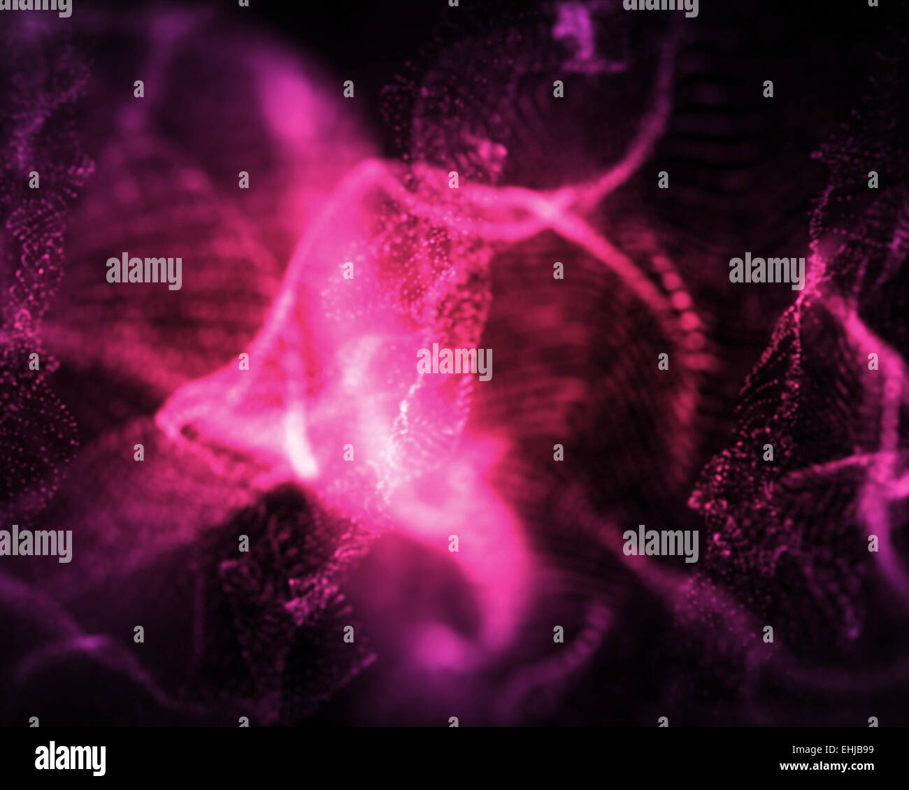 Indefinite shapes of pink lighting Stock Photo - Alamy