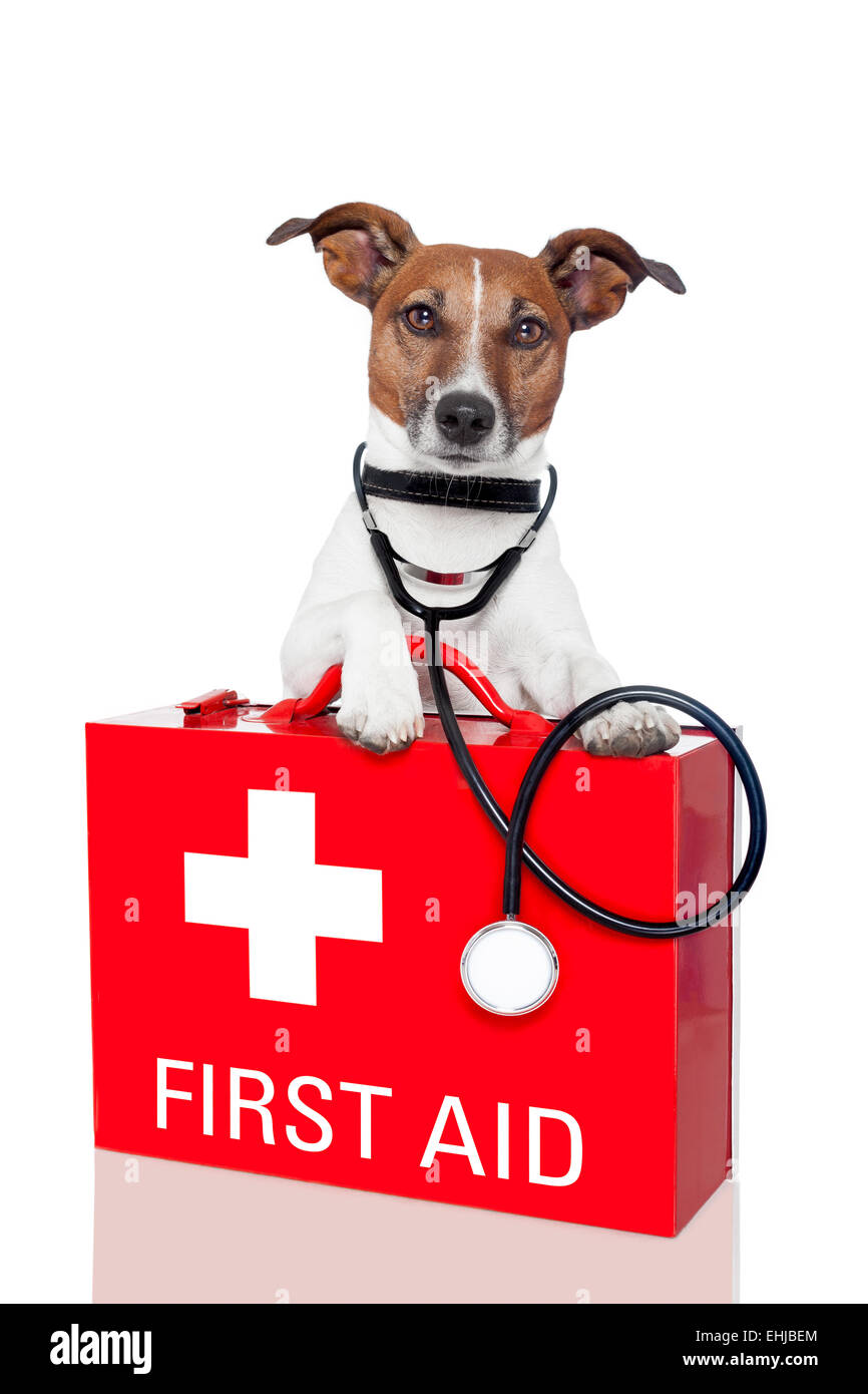 Animal first aid kit hi-res stock photography and images - Alamy