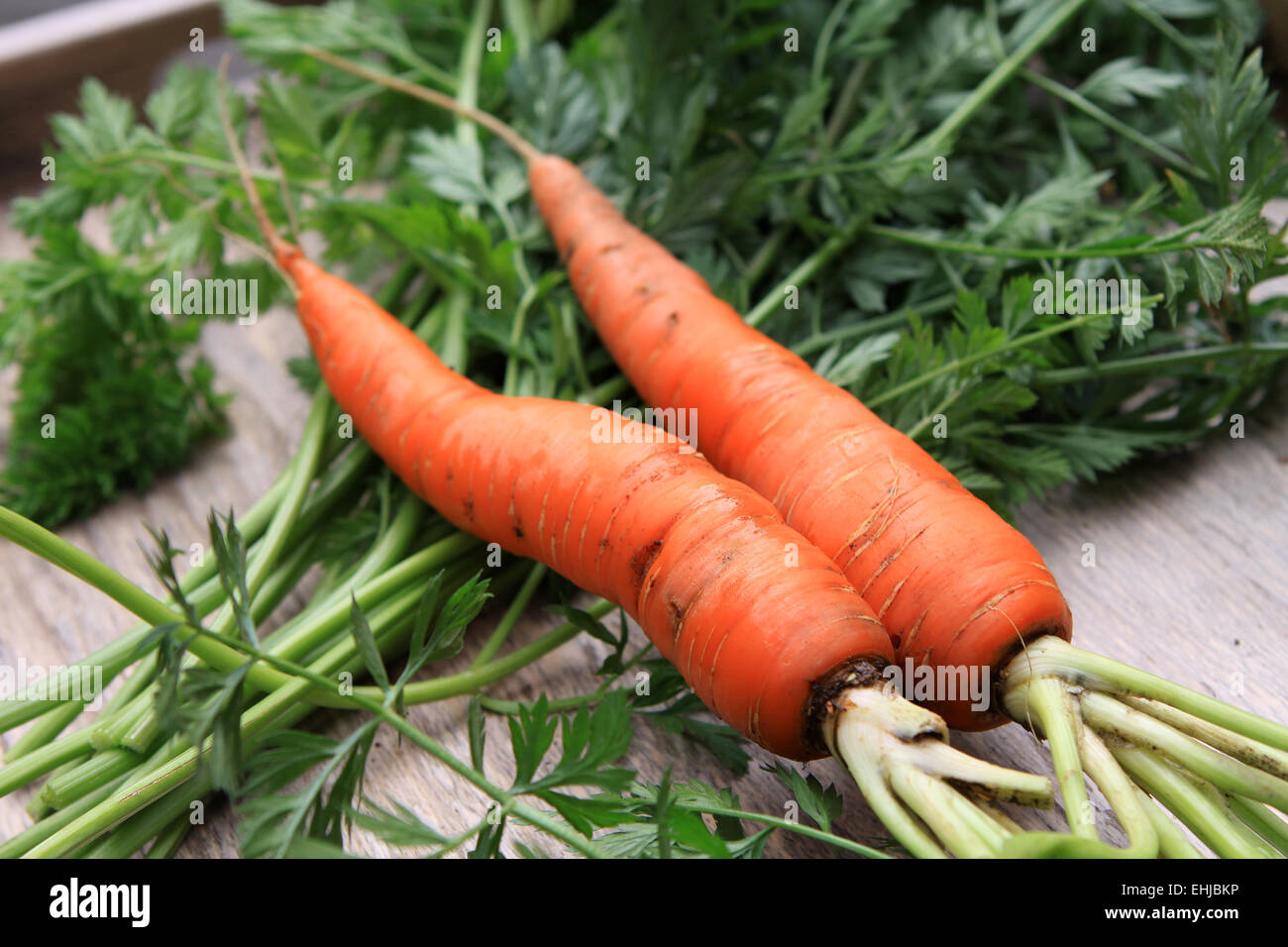 Beta two hi-res stock photography and images - Alamy