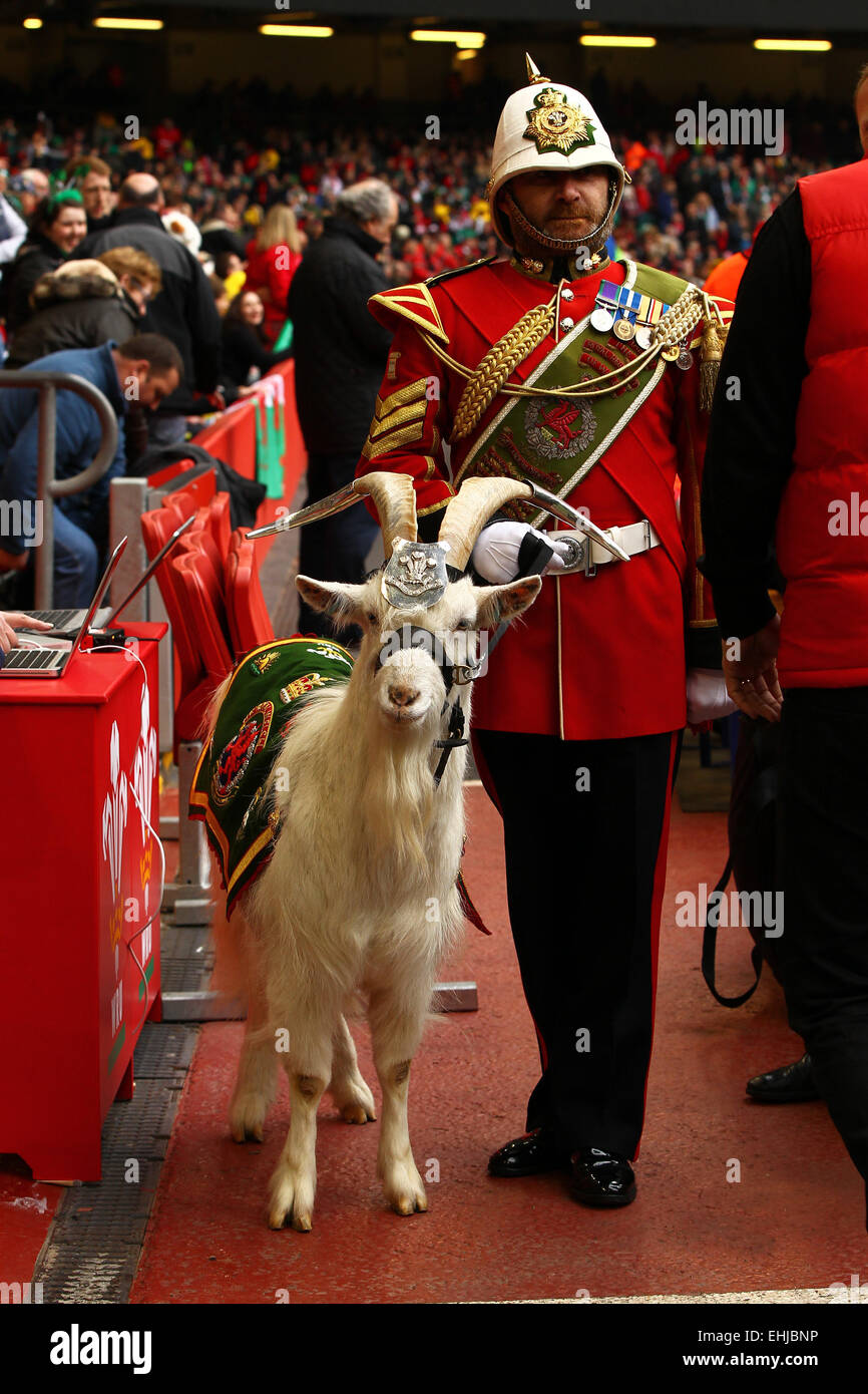 Welsh regiment hi-res stock photography and images - Alamy