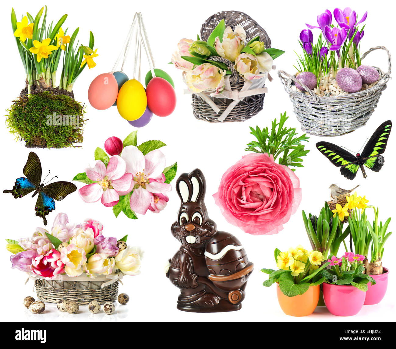 Rabbit butterfly hi-res stock photography and images - Alamy