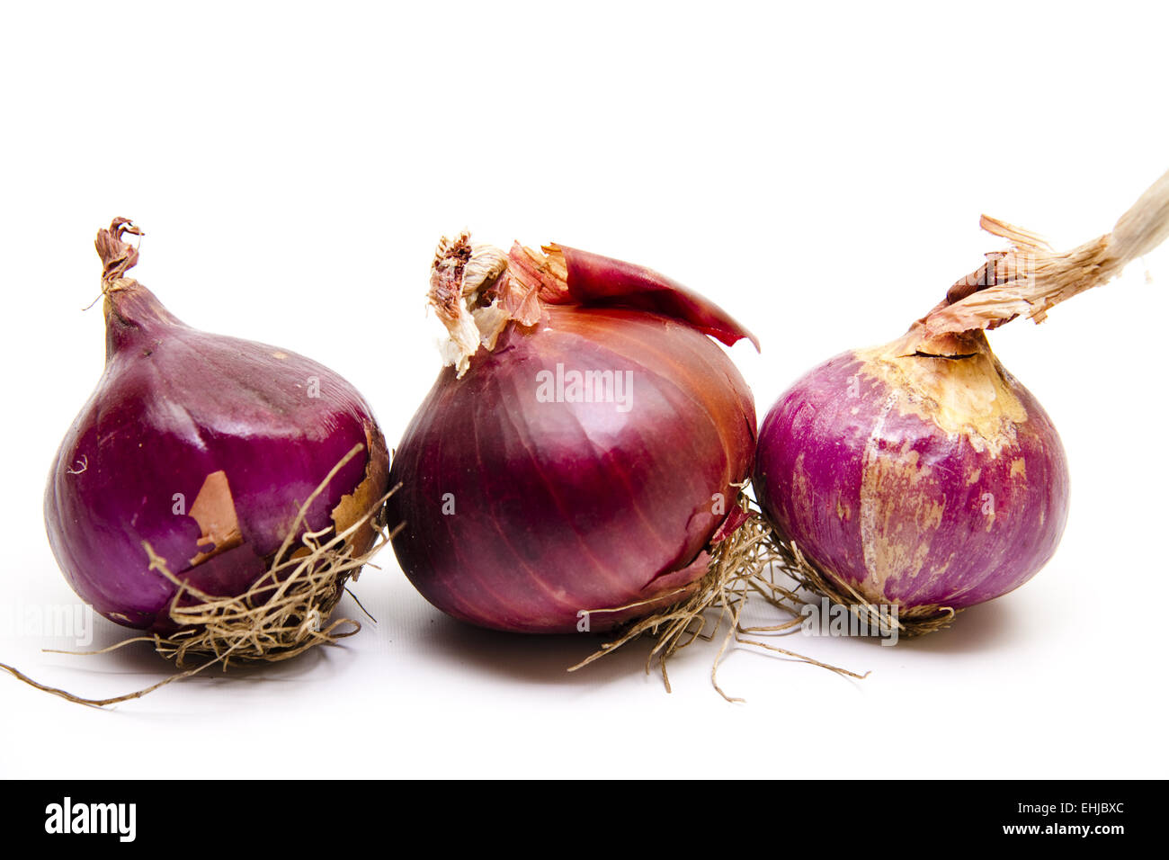 Root rot Cut Out Stock Images & Pictures - Alamy