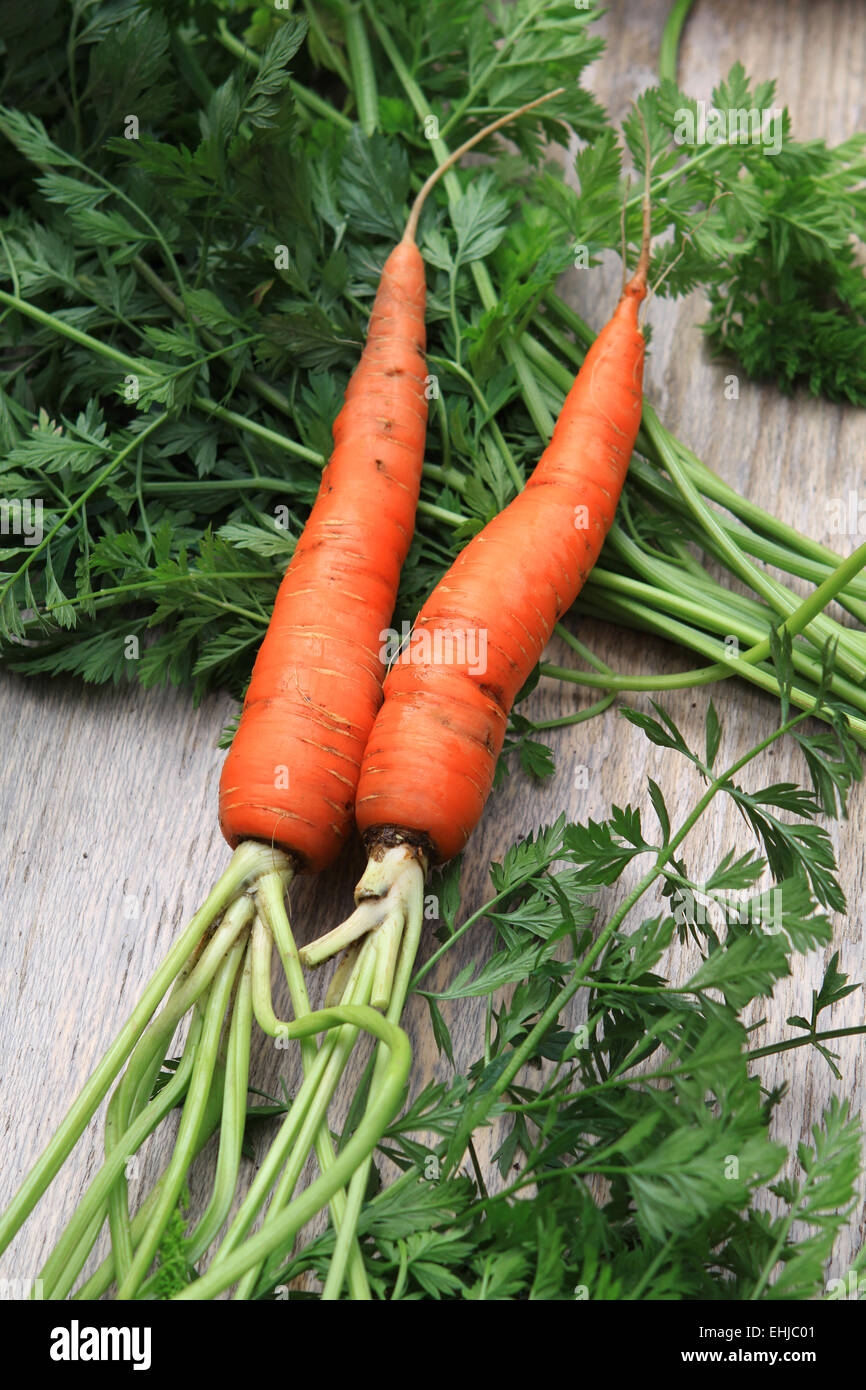 Reduce rot hi-res stock photography and images - Alamy