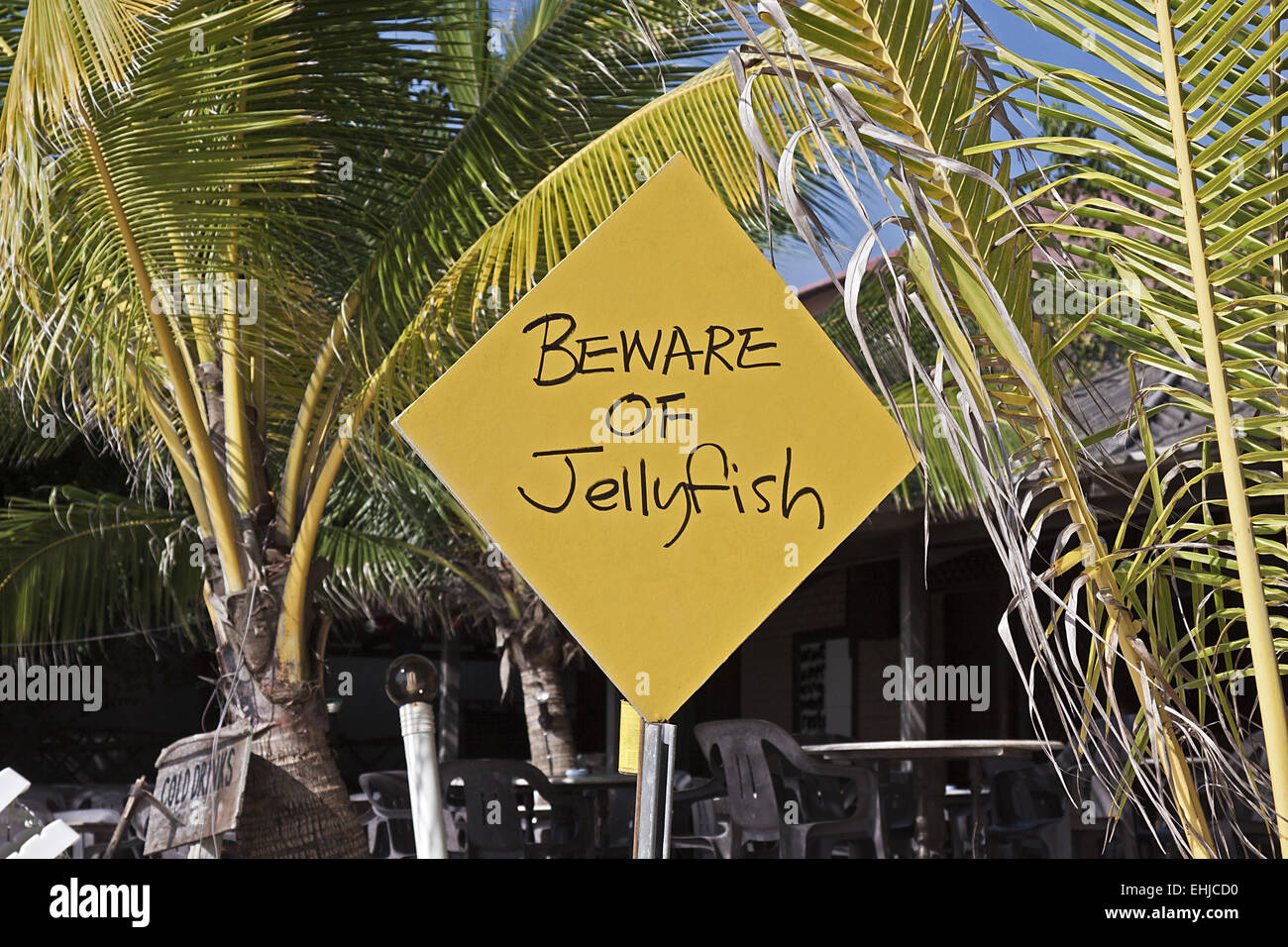 Personal distance animals hi-res stock photography and images - Alamy