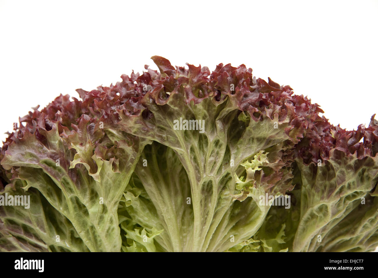 Lollo rot hi-res stock photography and images - Alamy