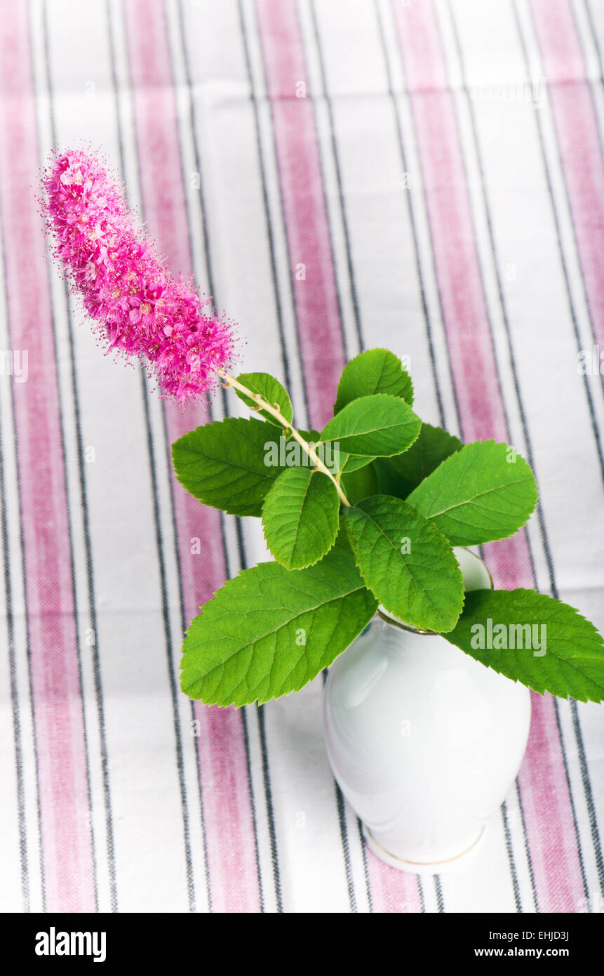 Beautiful flower vase hi-res stock photography and images - Alamy