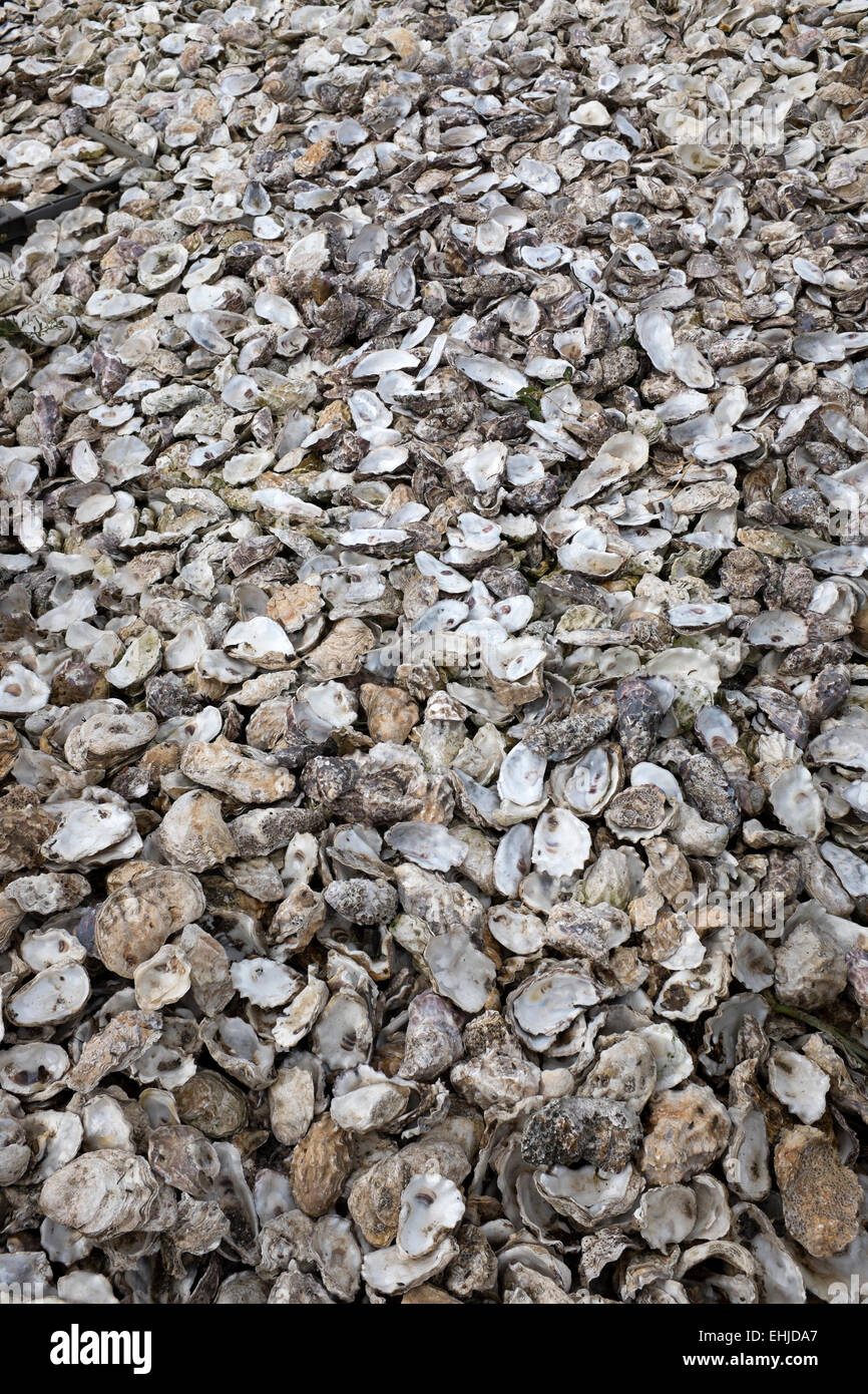 Recycling shells hi-res stock photography and images - Alamy