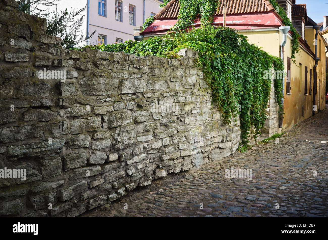 Street in old town tallinn hi-res stock photography and images - Alamy