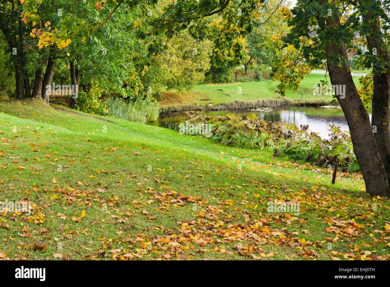 Road side pond hi-res stock photography and images - Alamy